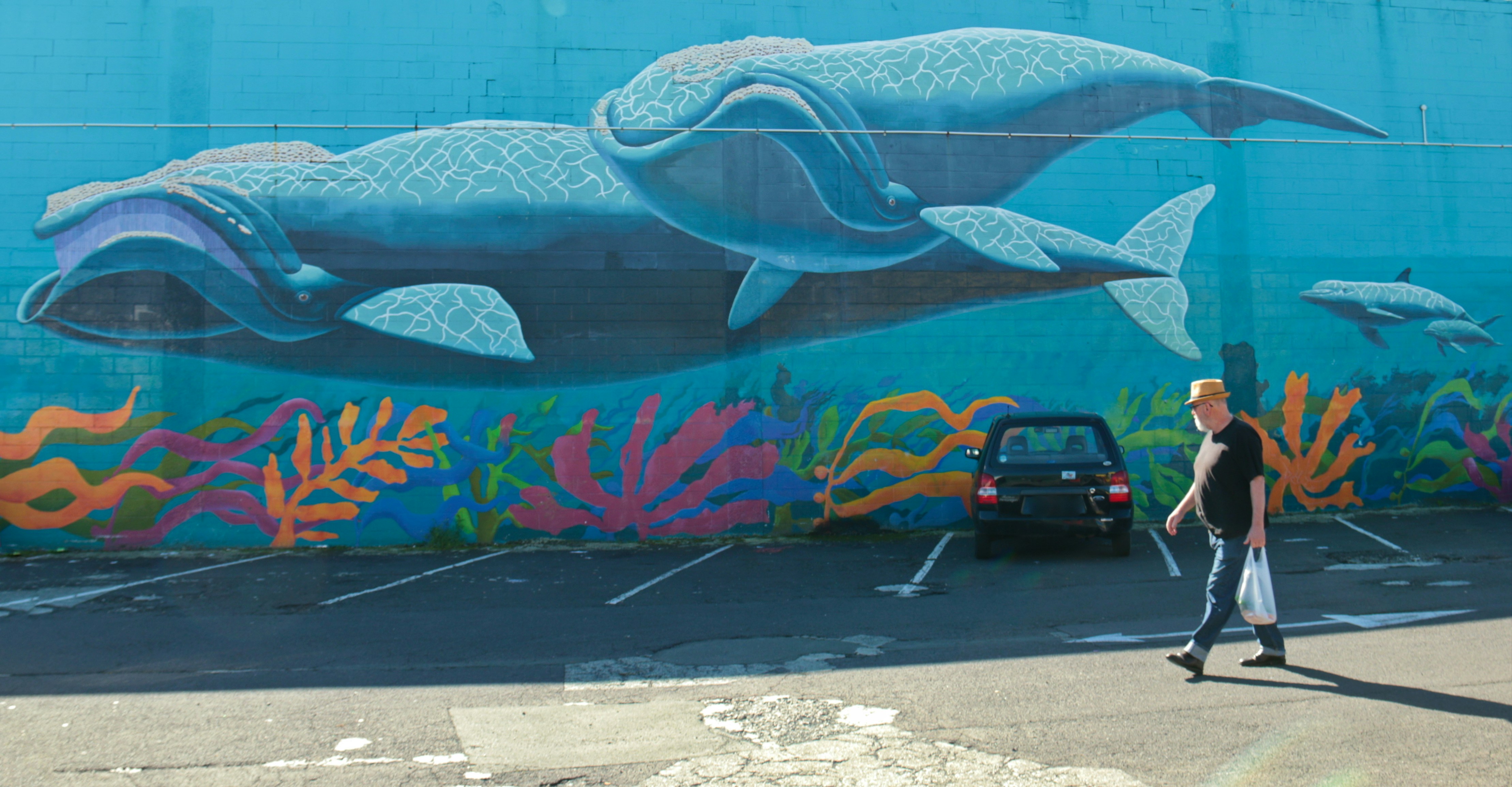 True to scale... | Two whales swim near a coral reef
