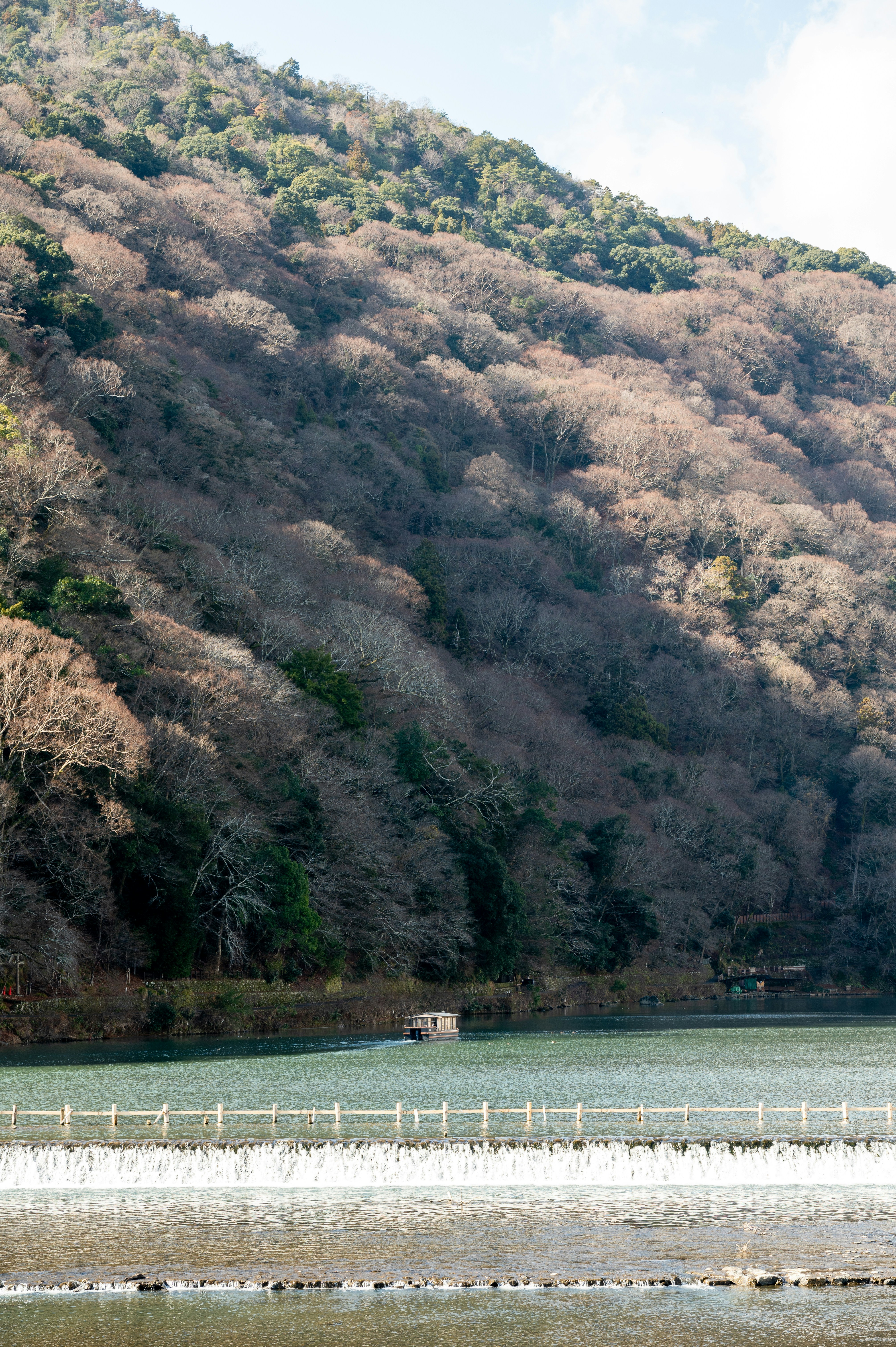 Barren trees line the tranquil waters of a lake, with a gentle flow of water creating a serene atmosphere. A small boat rests quietly on the shore.