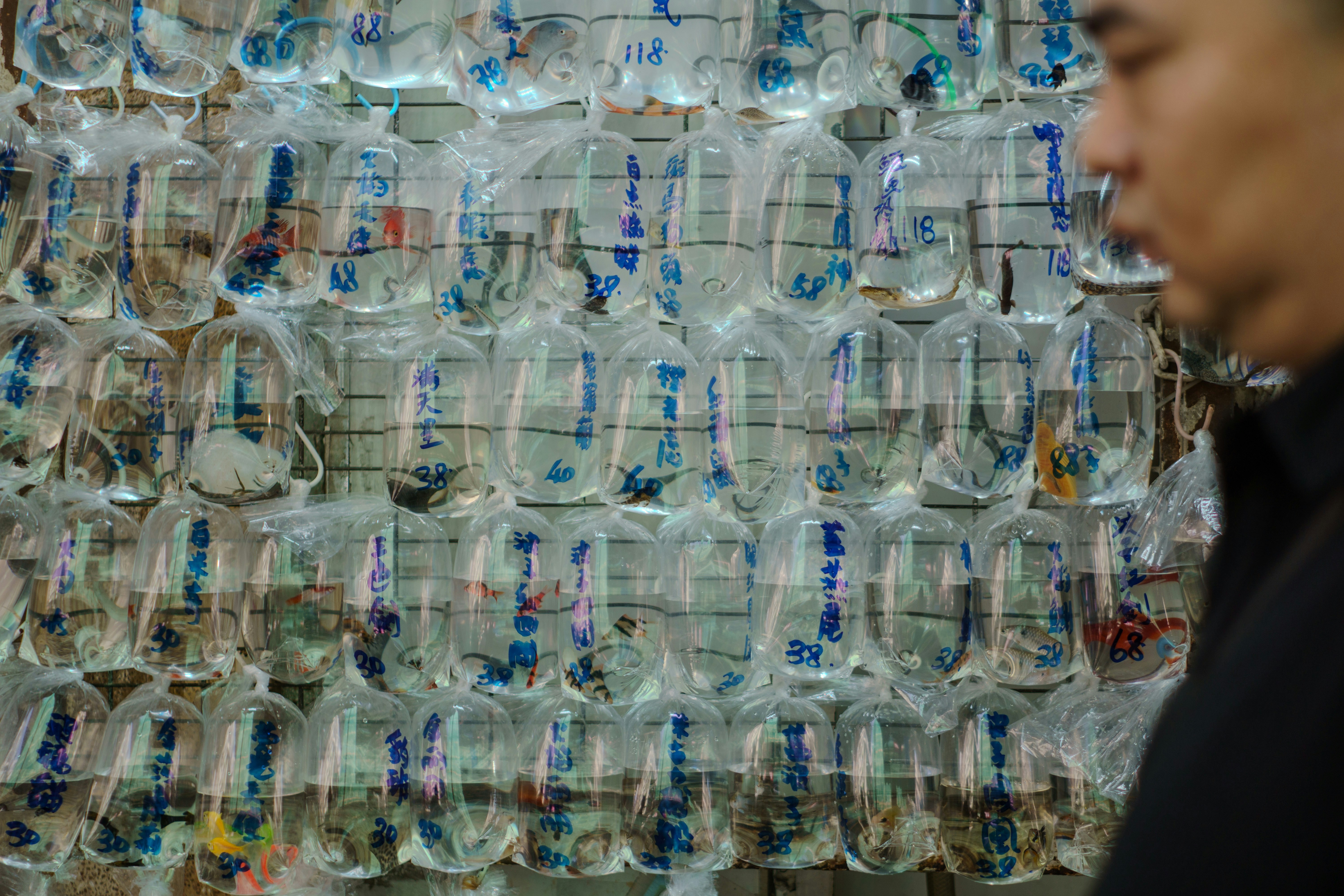 Man looking at a wall covered in small items
