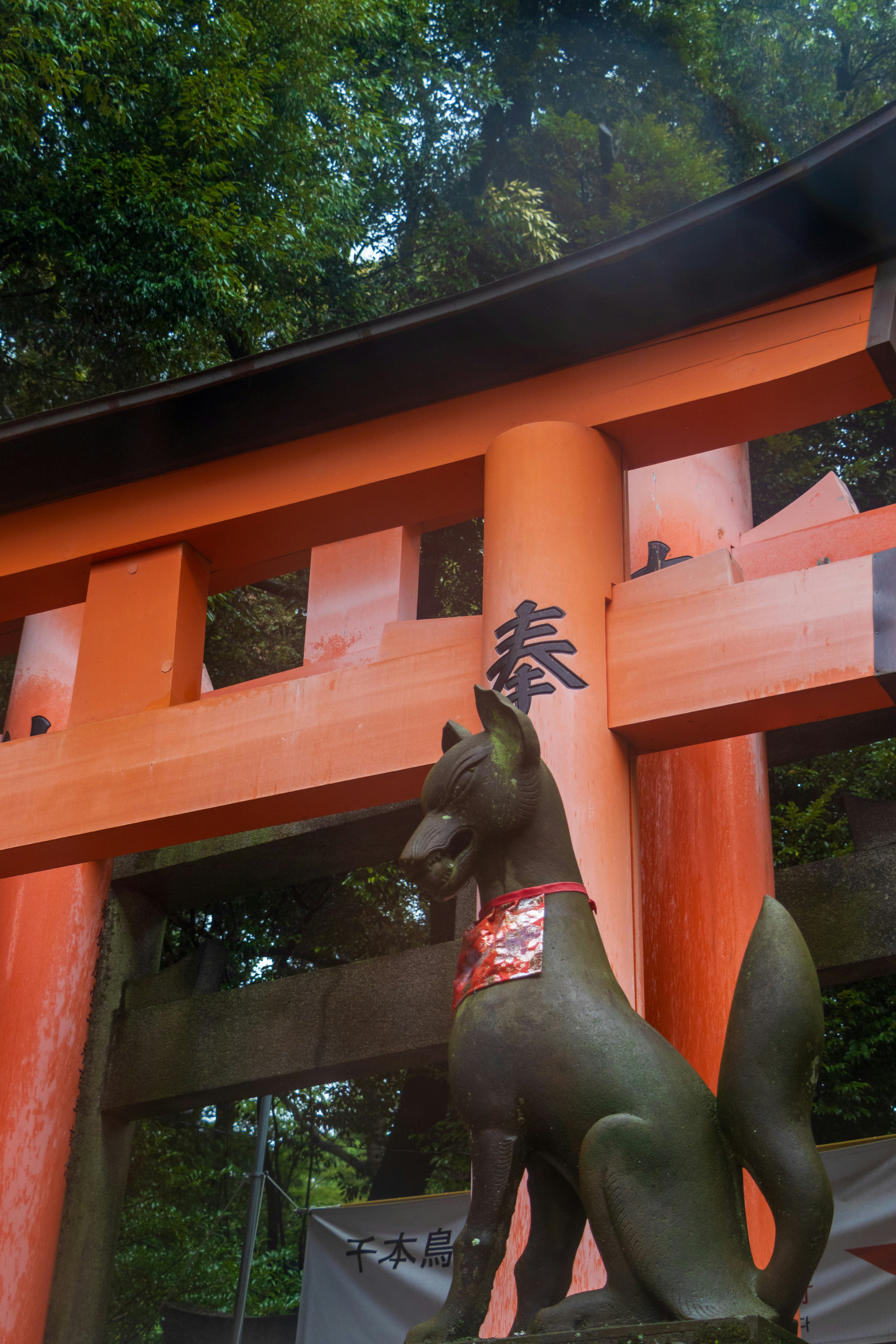 Kitsune at the Torii Gate: a shrine sentinel against blazing orange beams