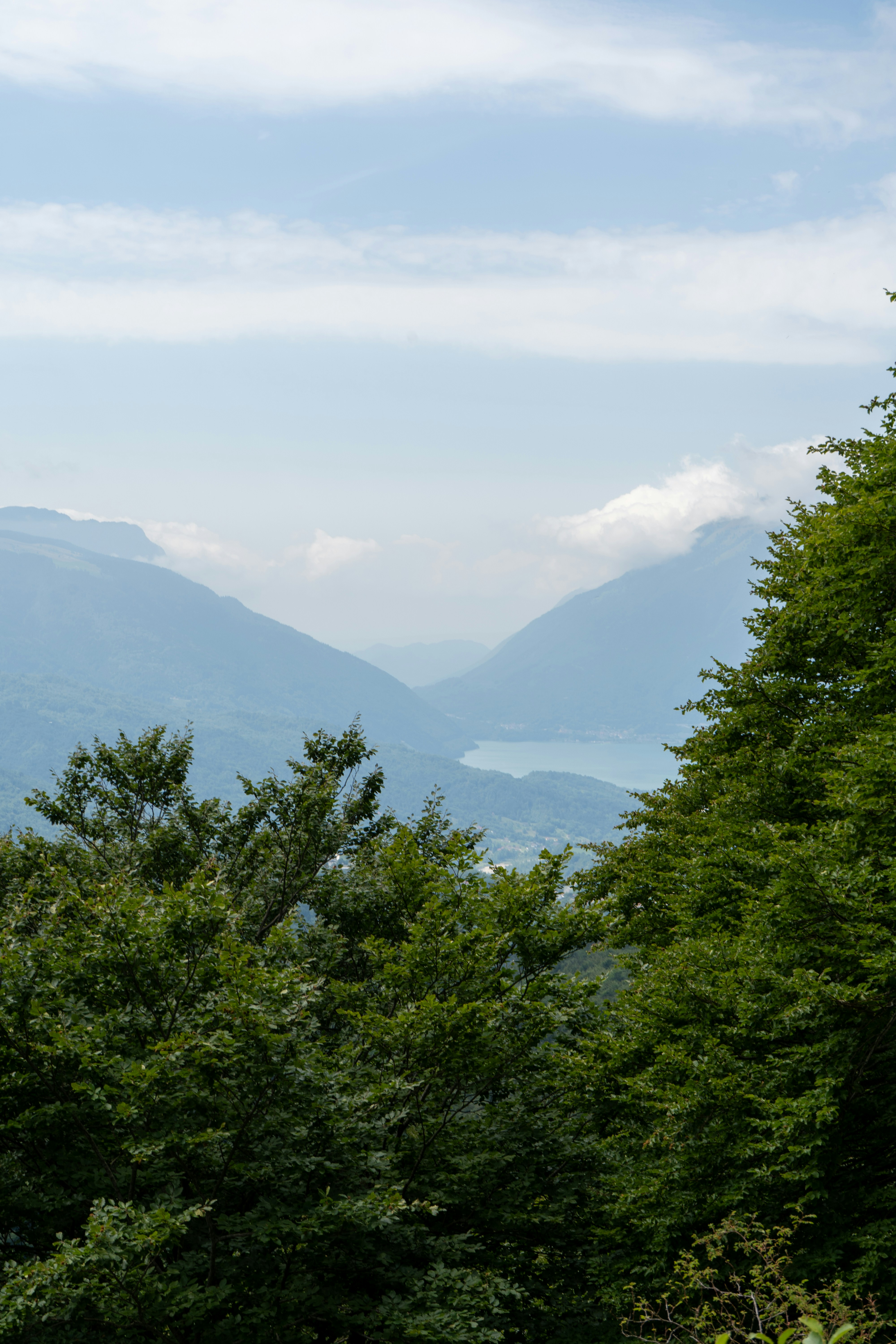 Lush green trees in foreground with distant mountains and lake.