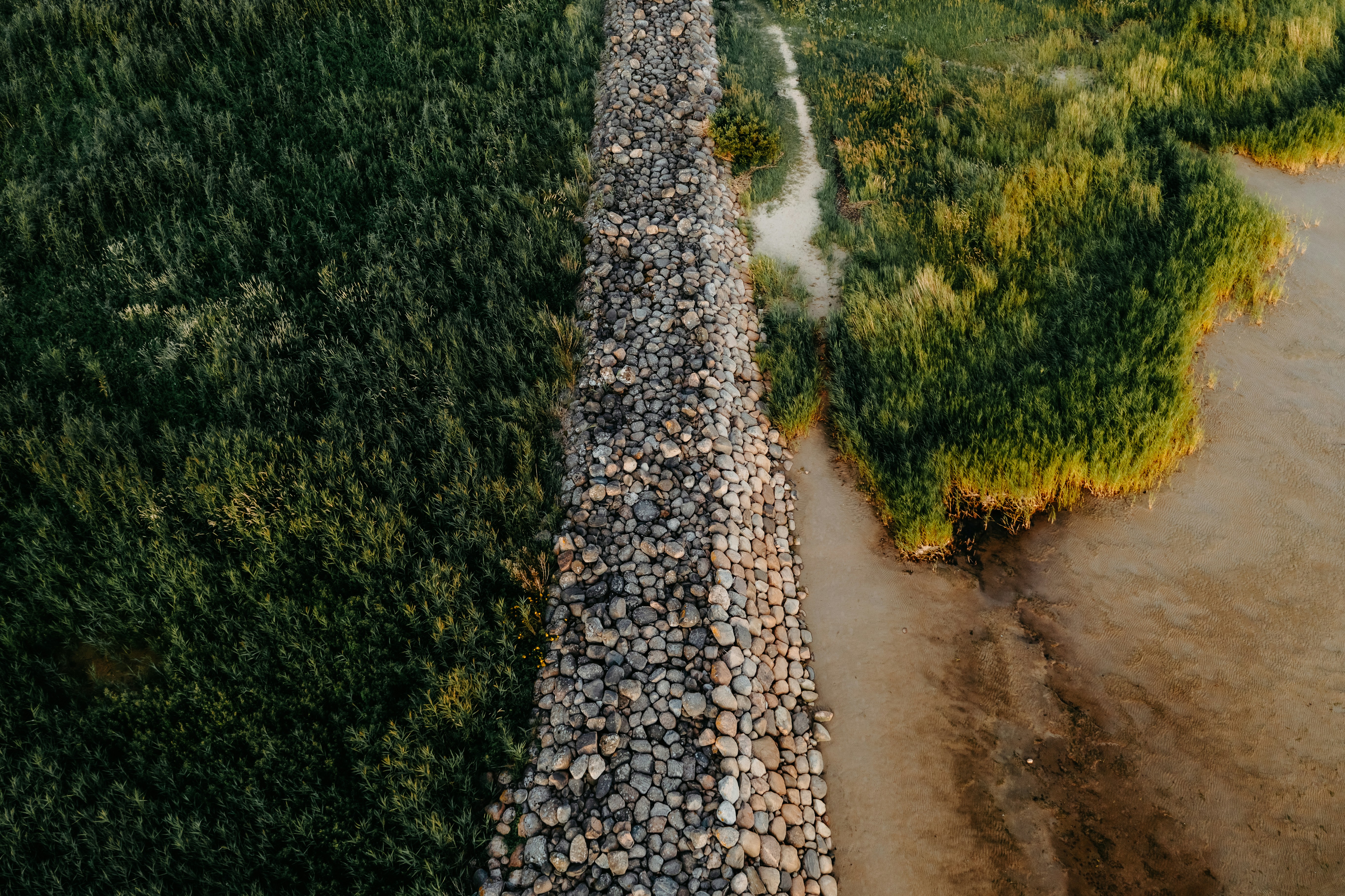 Nature's Pathway: A Stony Journey Through Verdant Landscapes