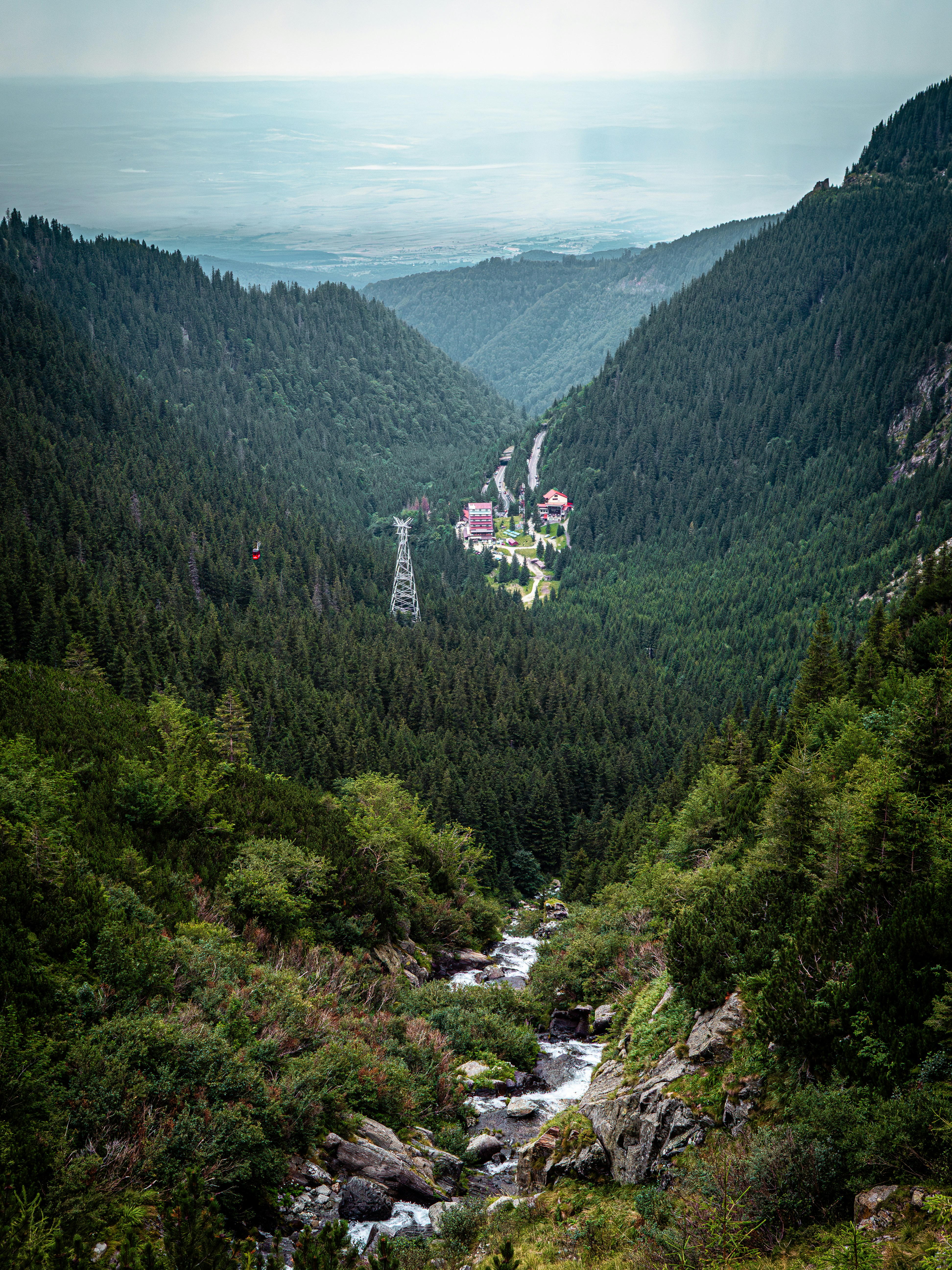 Dense forest valley with a winding river and distant buildings.