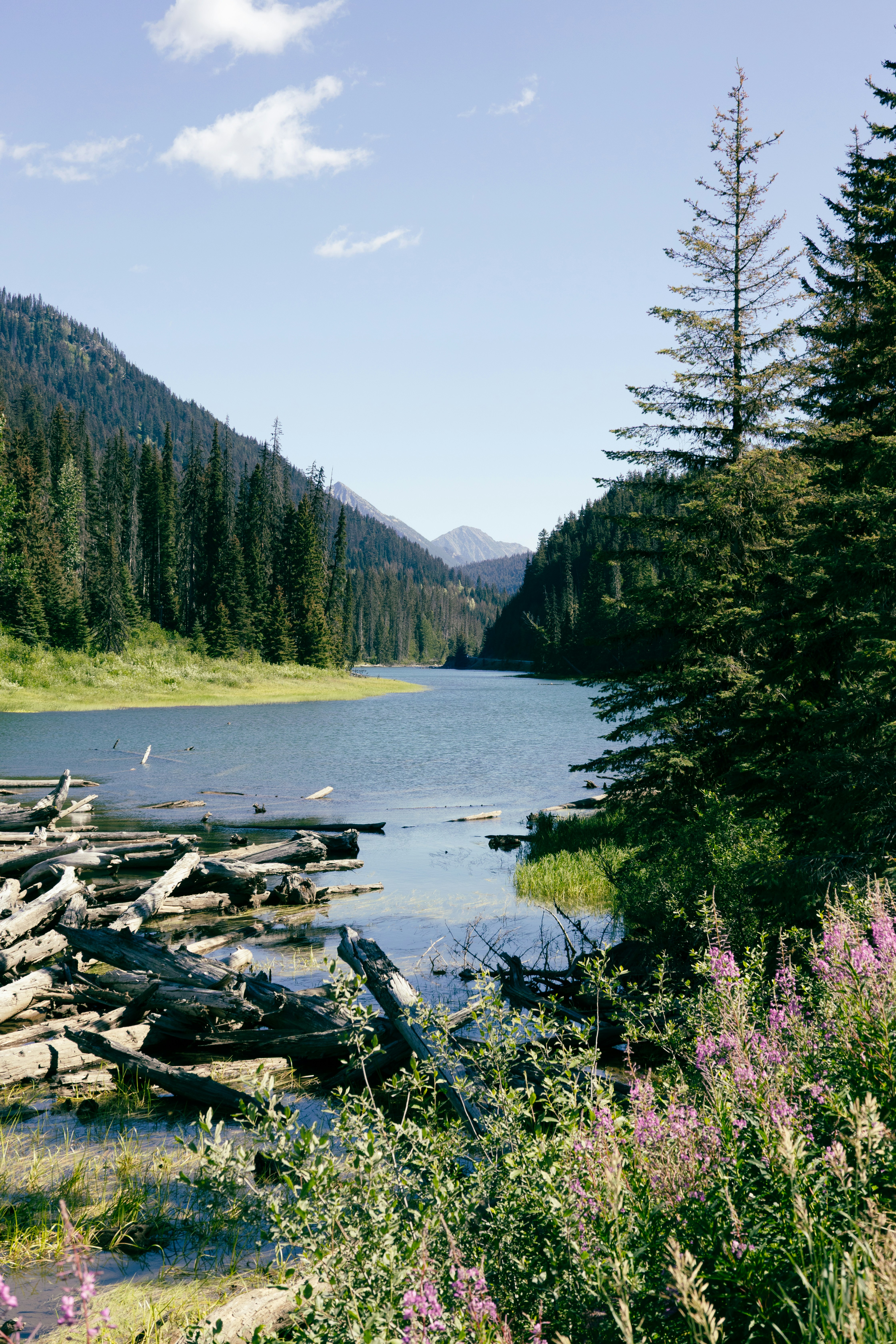 Canadian River | Serene mountain lake surrounded by evergreen trees