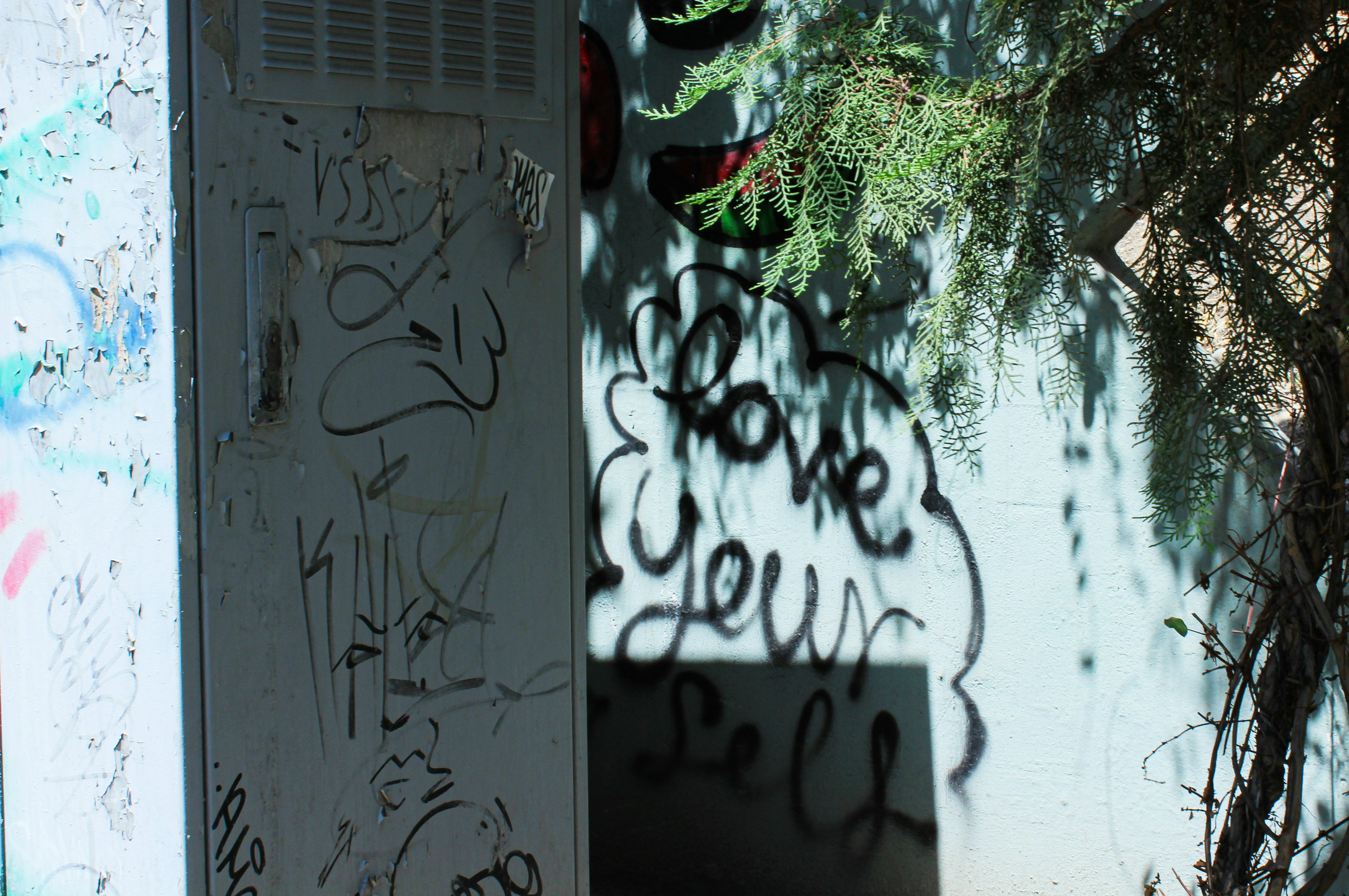 Graffiti on a textured urban wall with greenery.