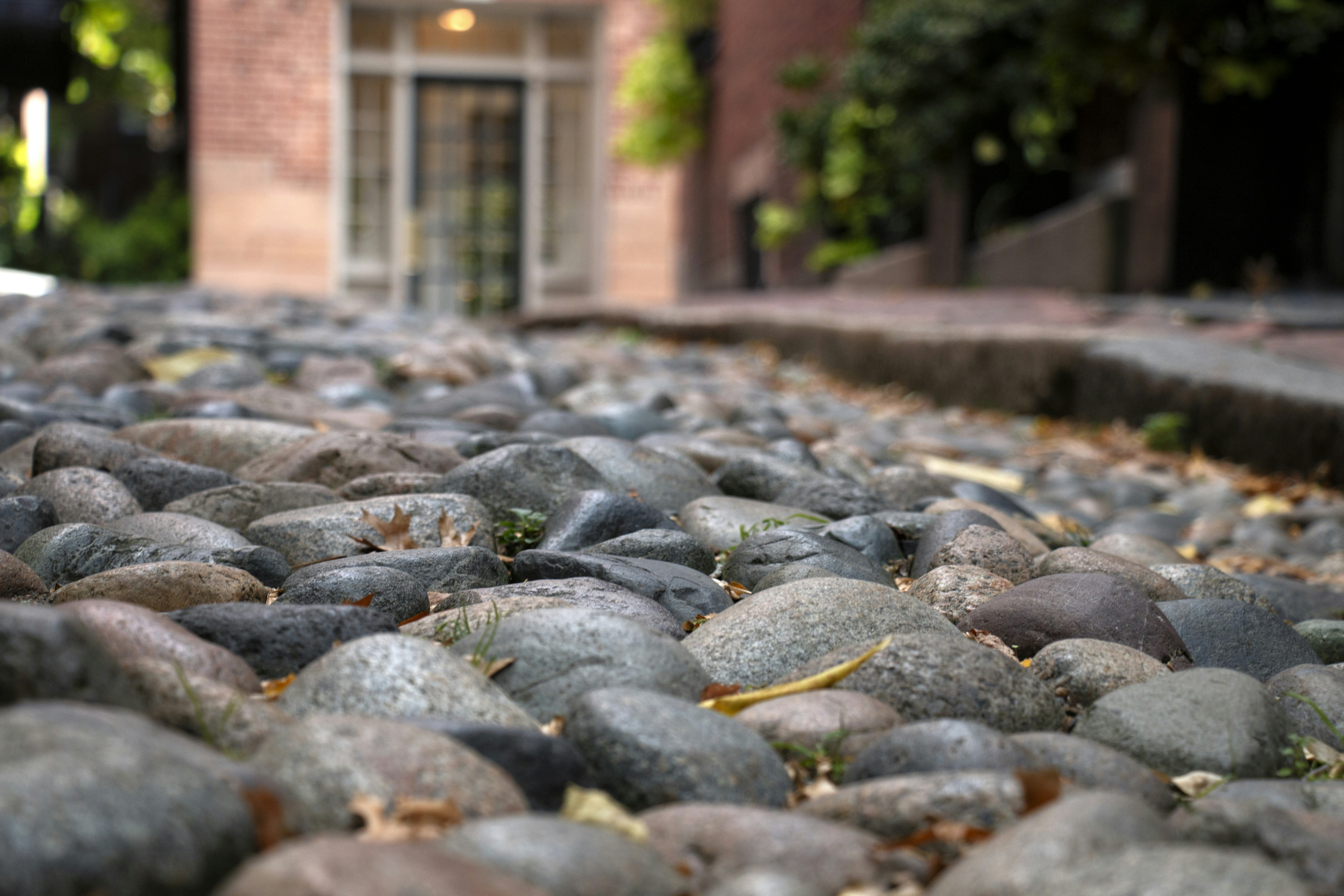 Close-up view of a pebbled pathway leading to a doorway, showcasing the texture and arrangement of stones. The scene is framed by greenery and brick architecture.