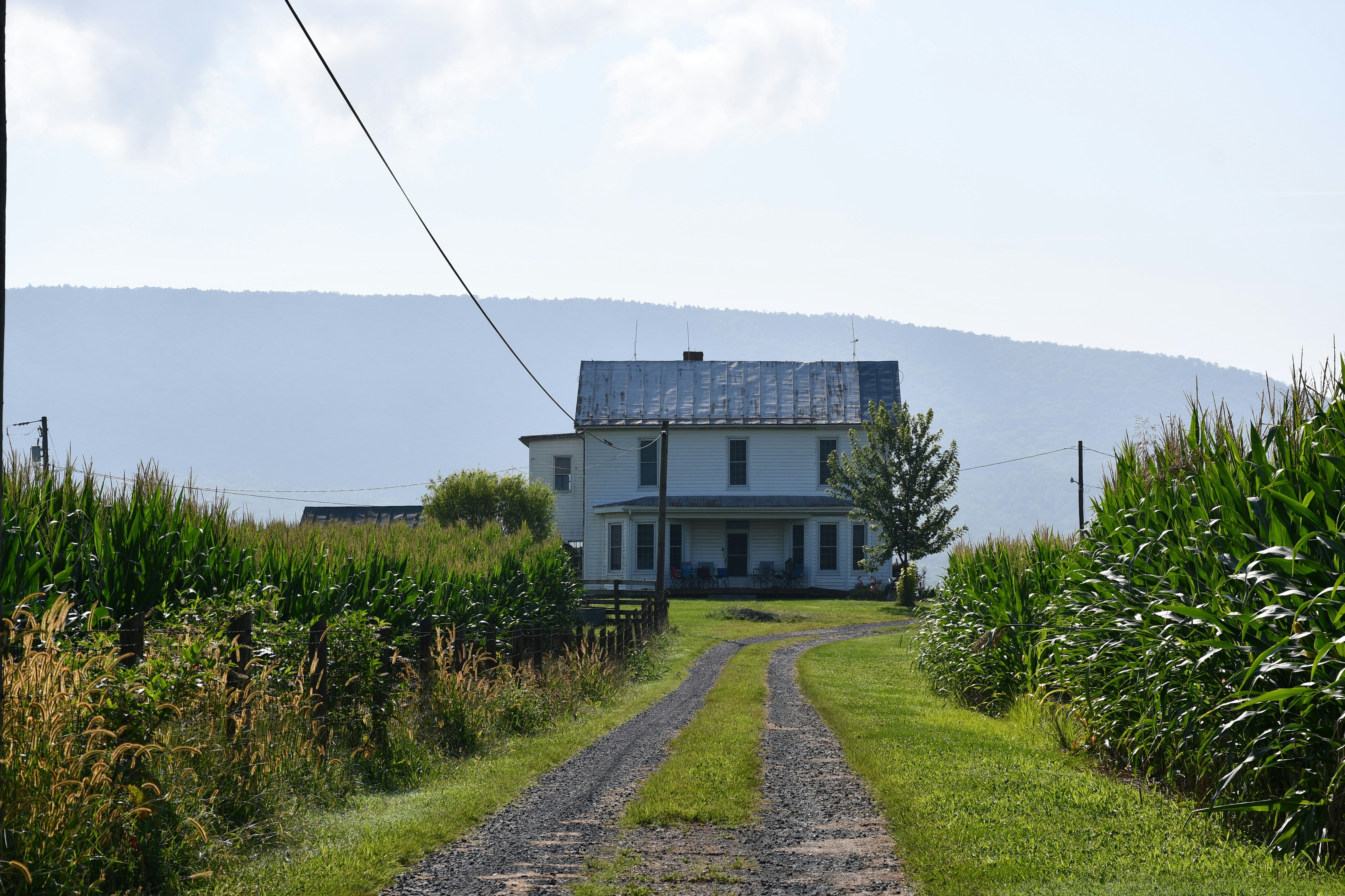 A charming farmhouse nestled between lush cornfields, framed by distant mountains under a clear sky.