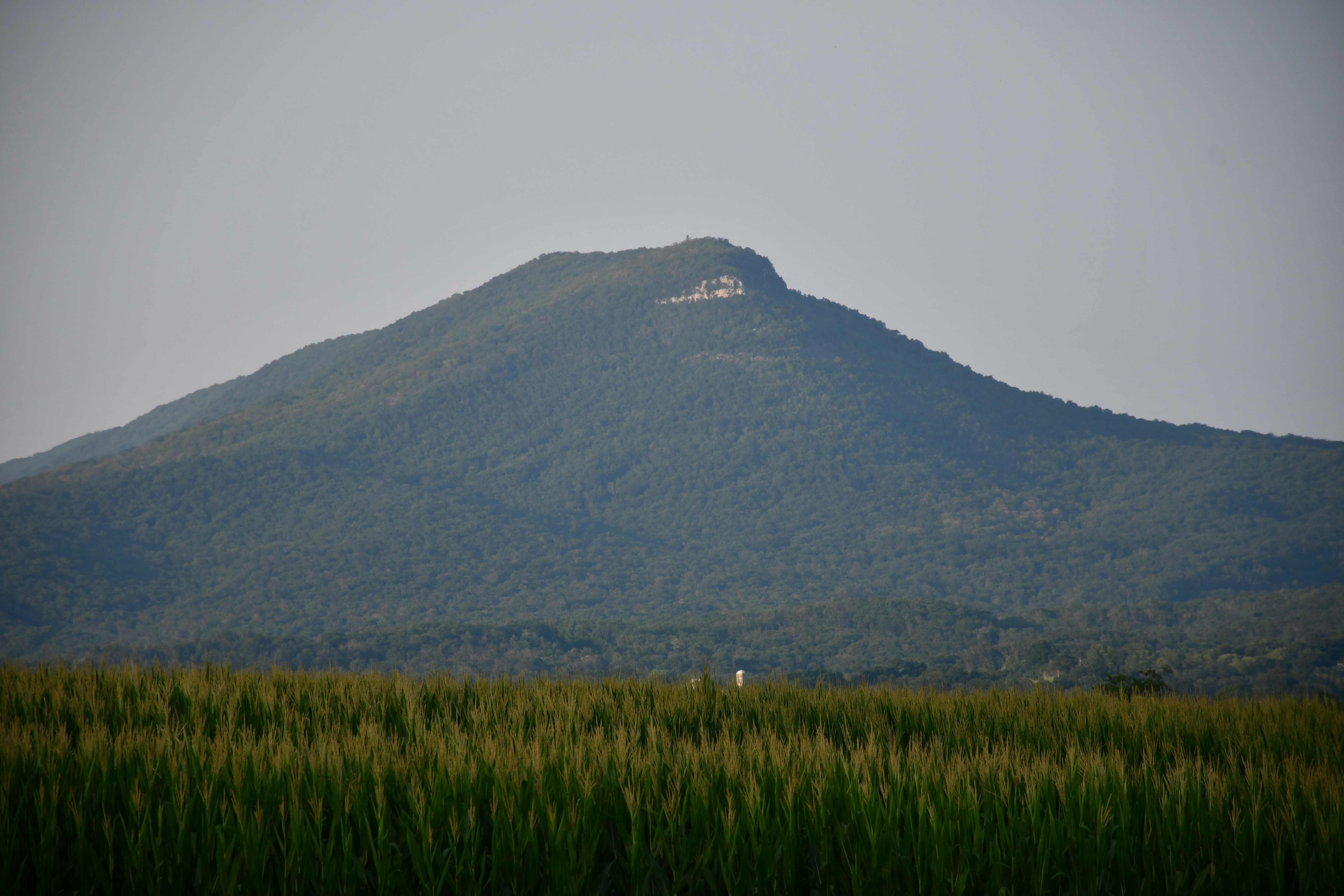 Whispers of the Mountain: Nature's Silent Sentinel