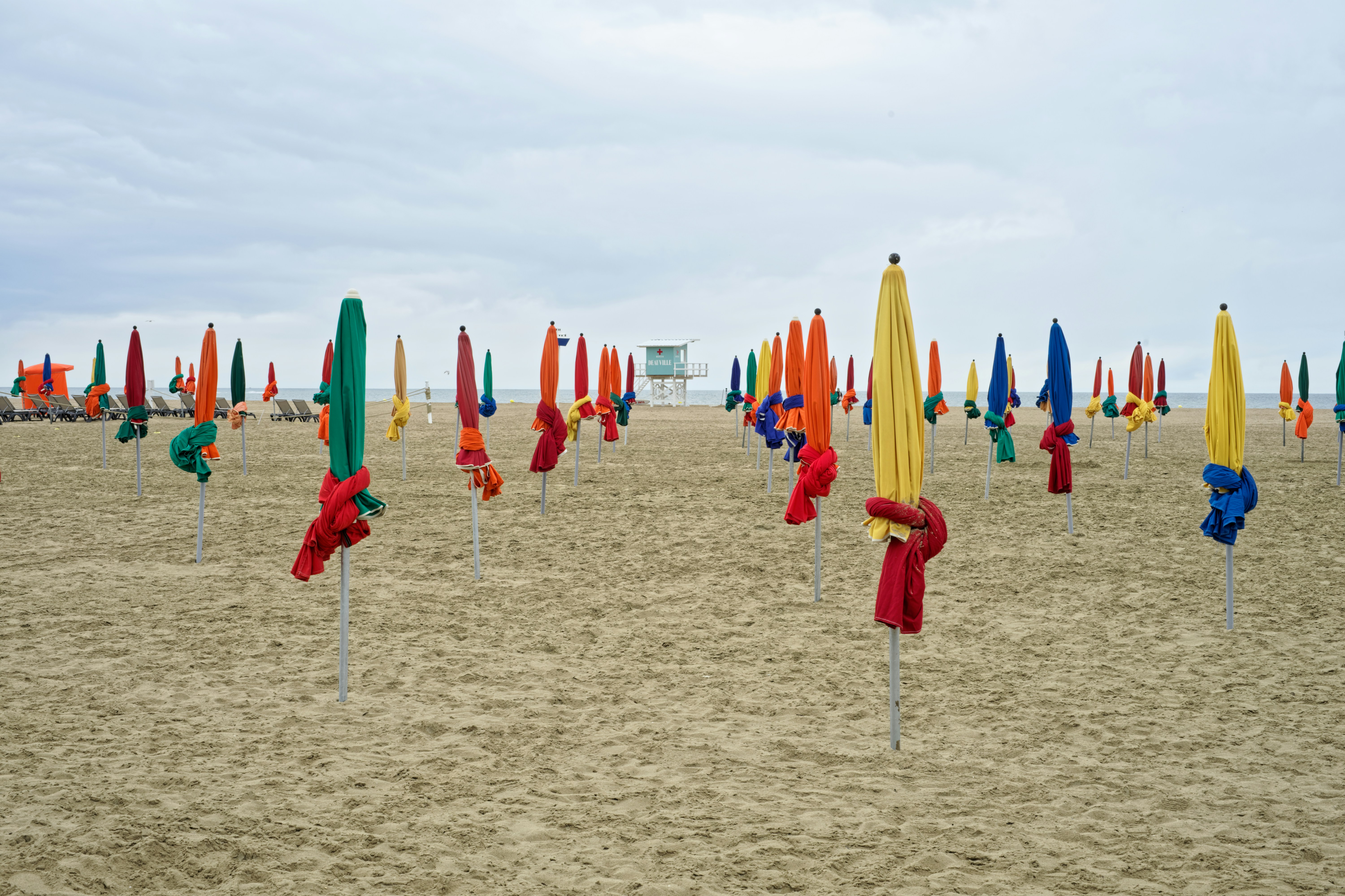 A Kaleidoscope of Color on the Shoreline