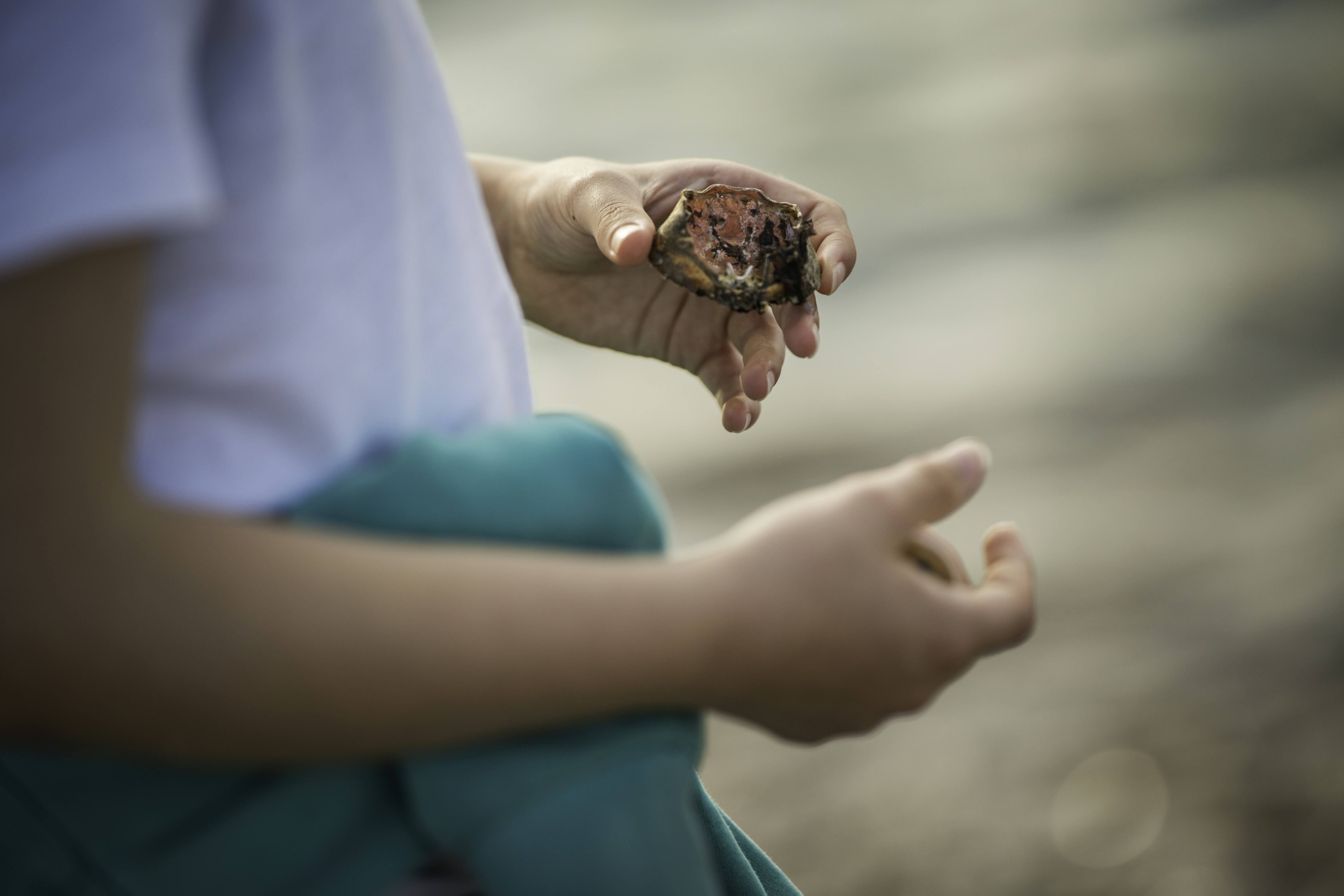 A Child's Discovery: Nature's Hidden Treasures