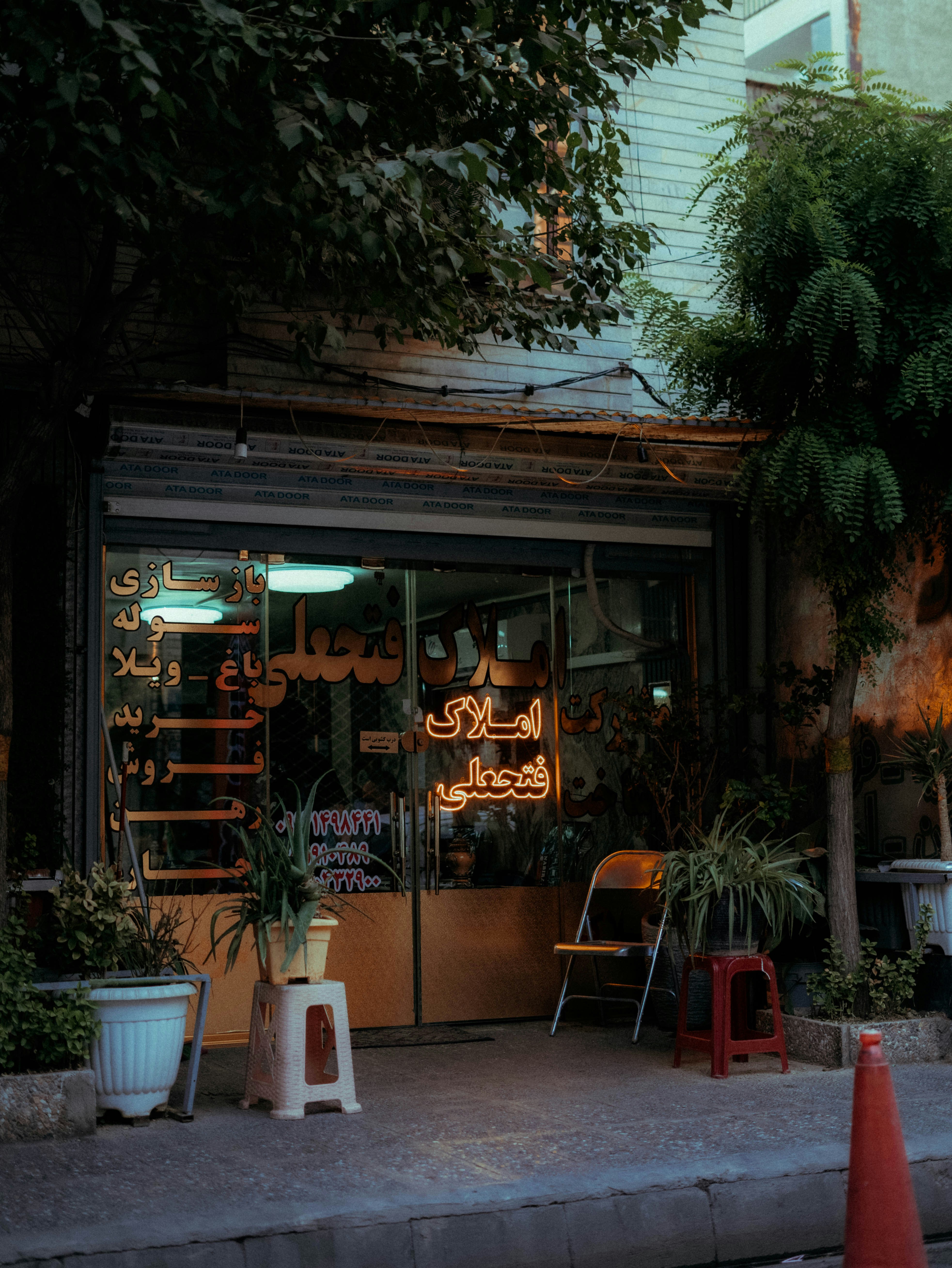 Tehran stores | A storefront with neon signs and potted plants