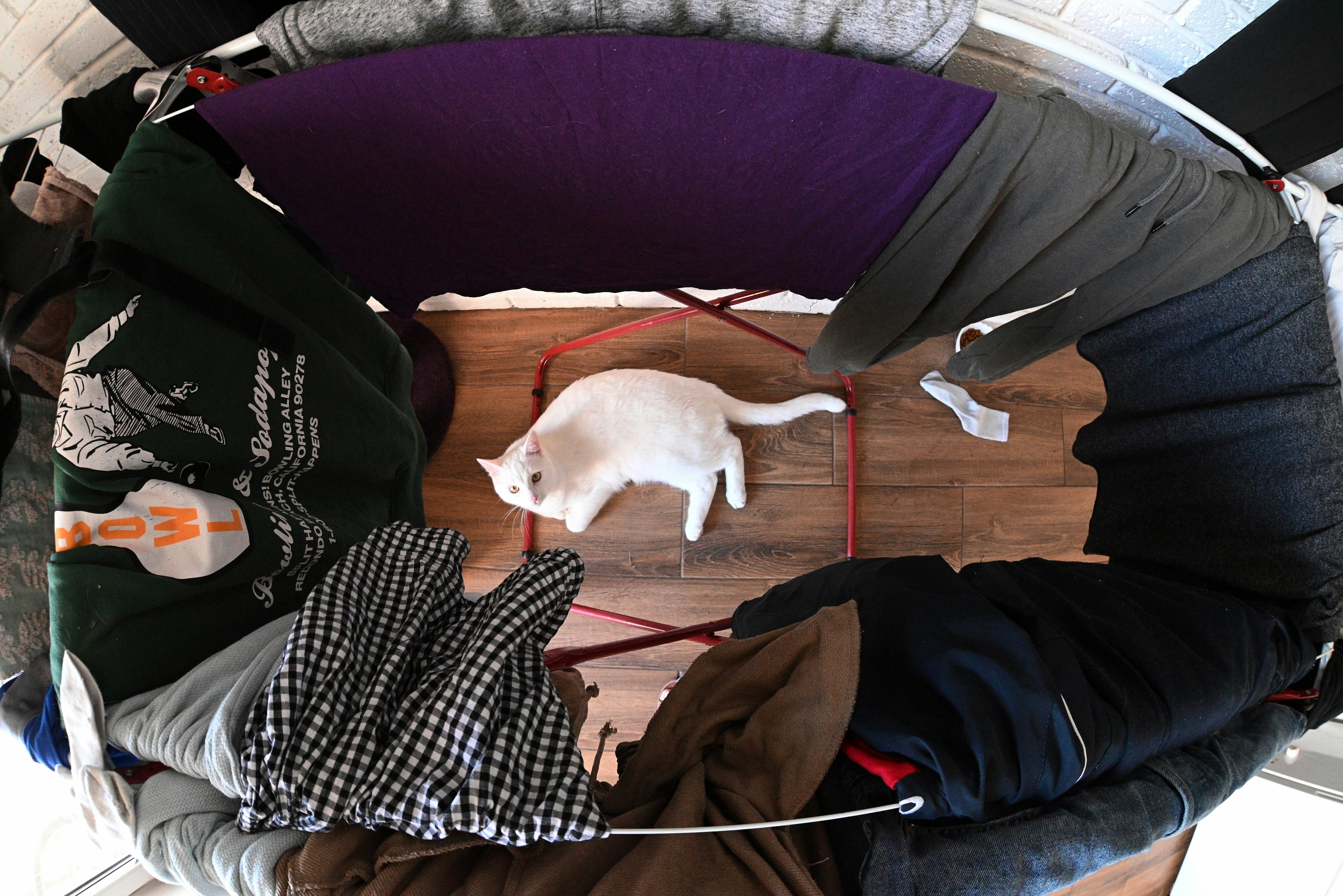 Whimsical Laundry Fort: A Cat's Playground