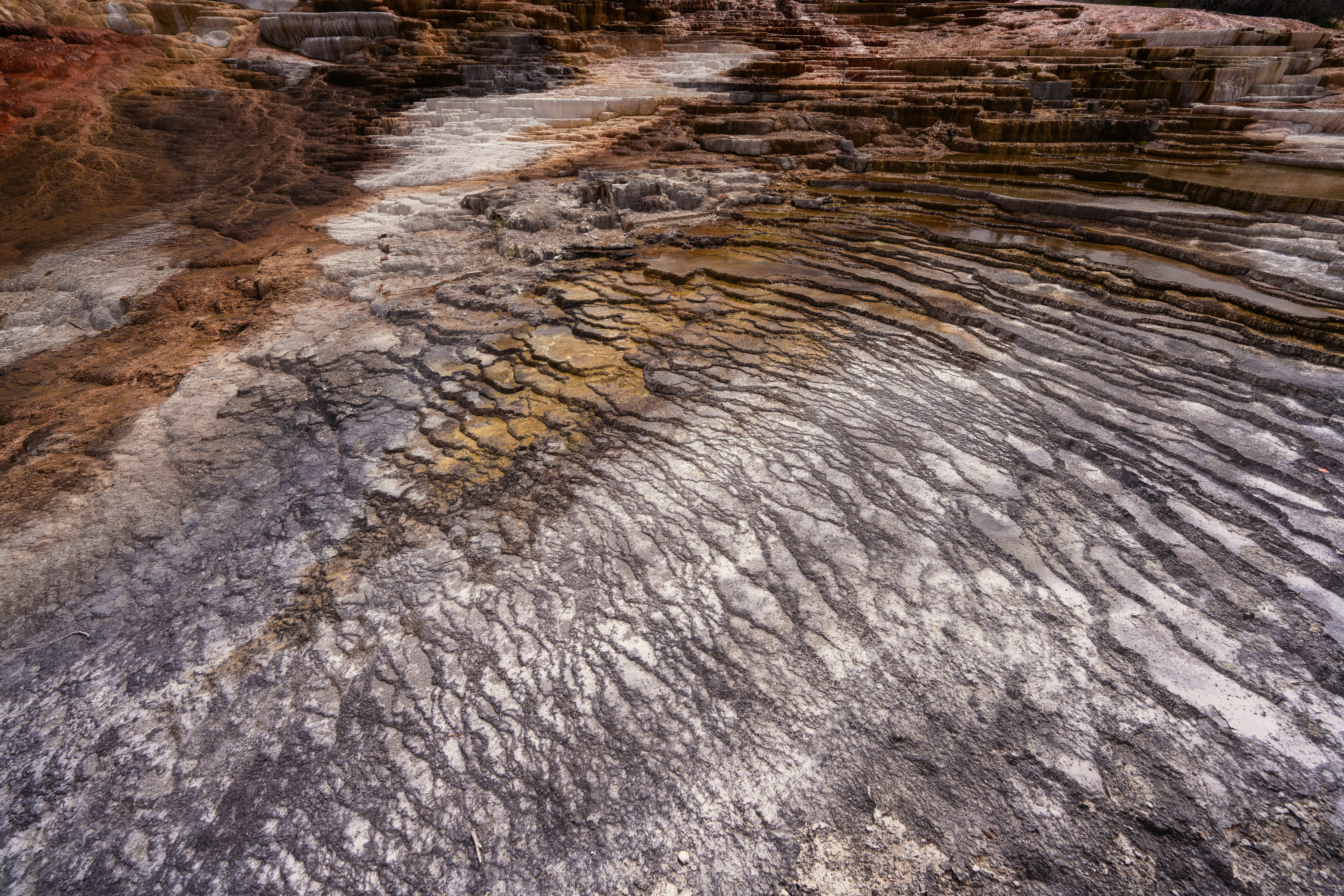 Intricate mineral patterns cover the surface of Mammoth Hot Springs in Yellowstone National Park, formed by the slow deposition of calcium carbonate from geothermal waters. The striated textures display a spectrum of colors, from pale white and gray to warm yellow, orange, and rust brown, revealing the dynamic flow of thermal water over time. | Textured rock formations with mineral deposits and water