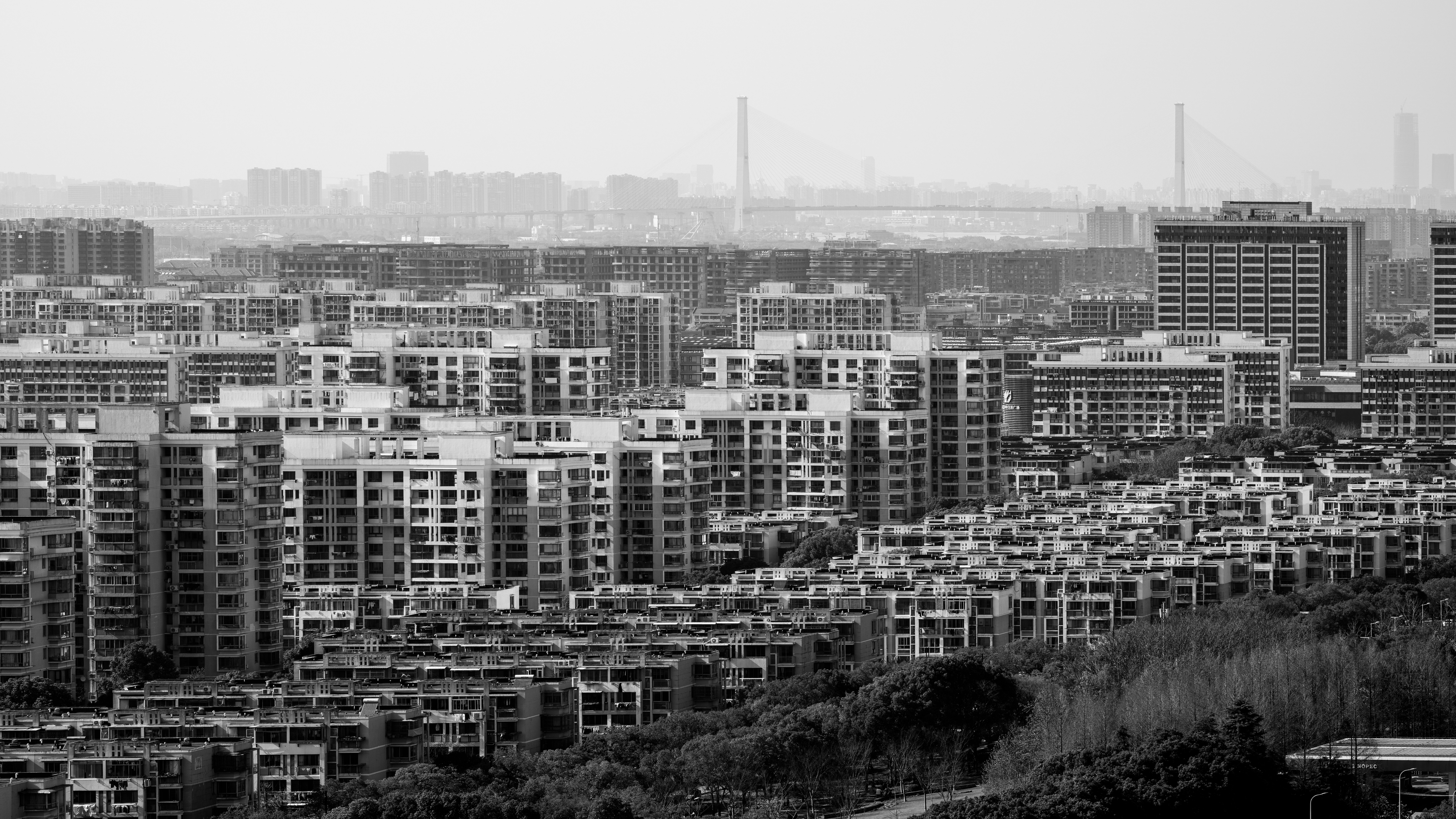 Urban Tapestry: A Monochrome Cityscape