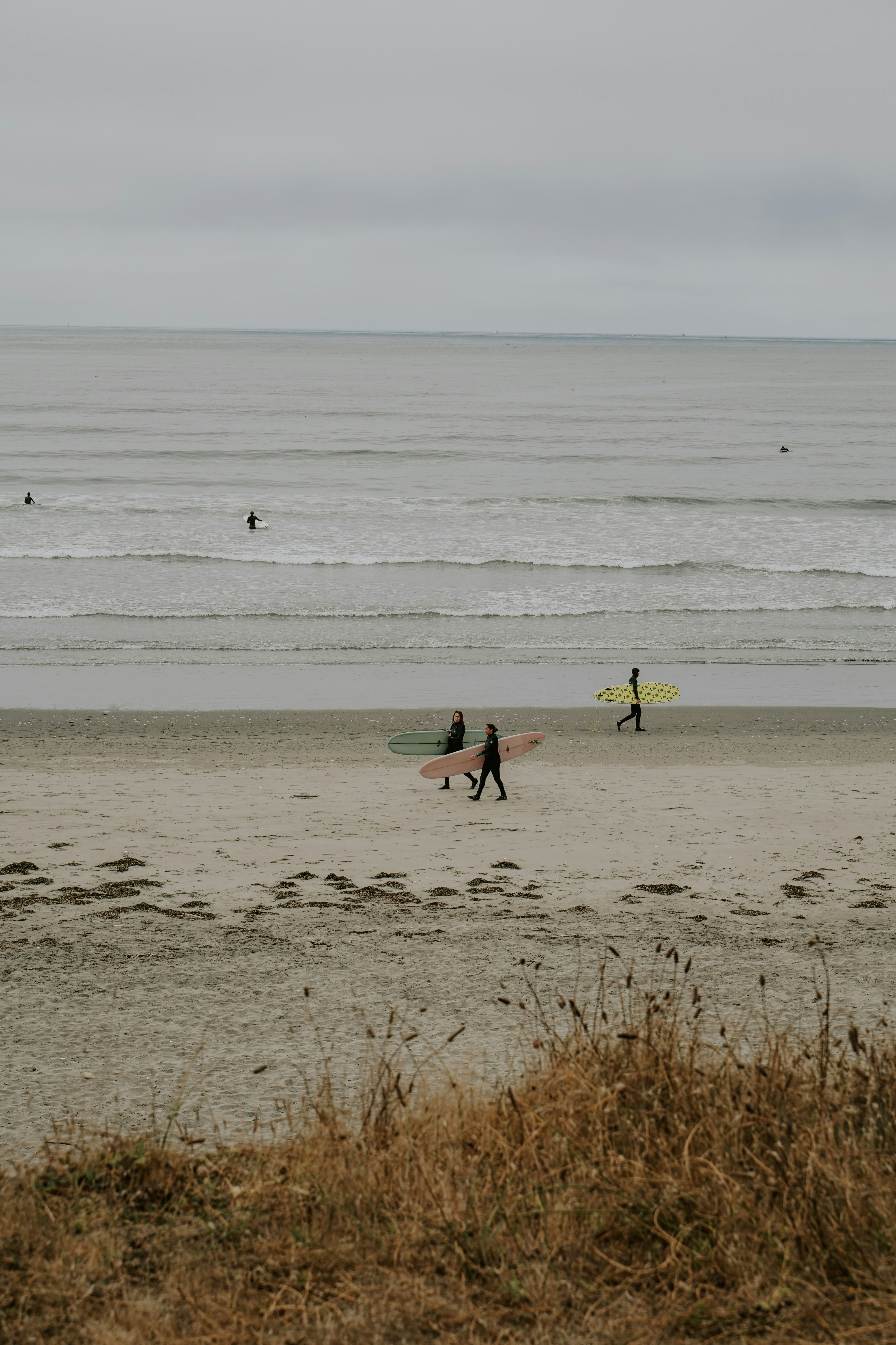 Surfing Serenity: A Day at the Shore