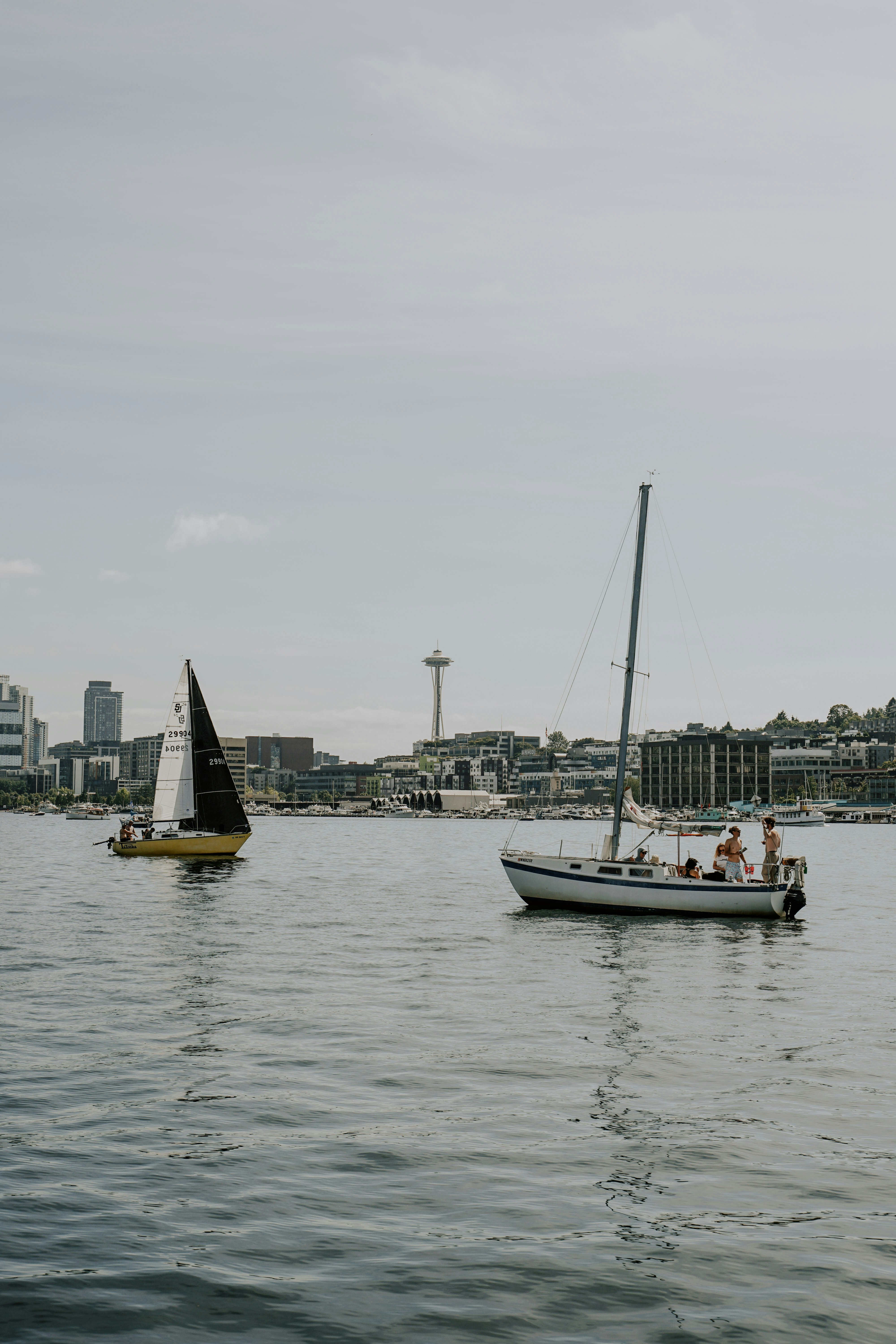 Sailboats on the water with city skyline in background