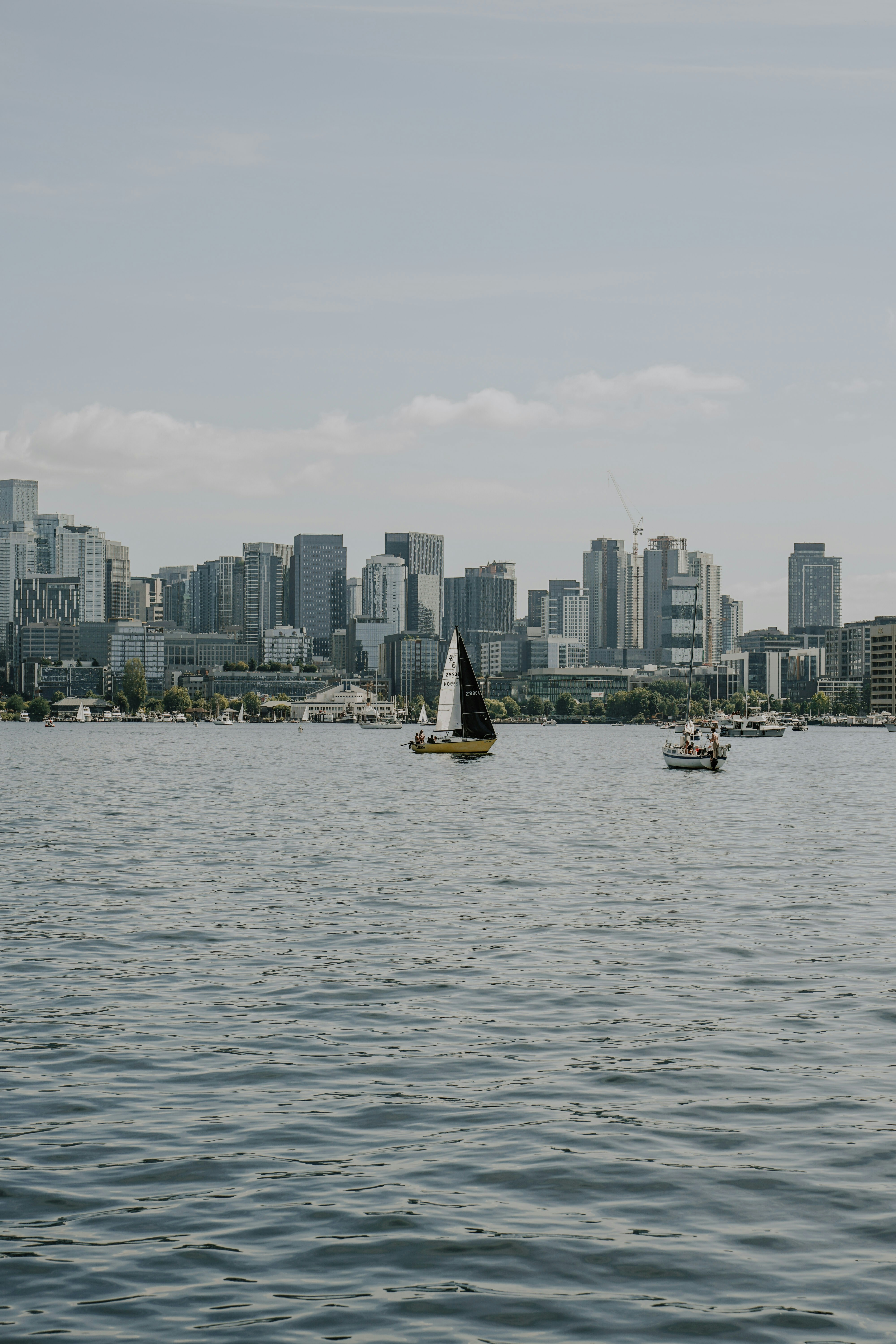Sailboats glide across a tranquil waterway, framed by a modern city skyline under a clear sky.
