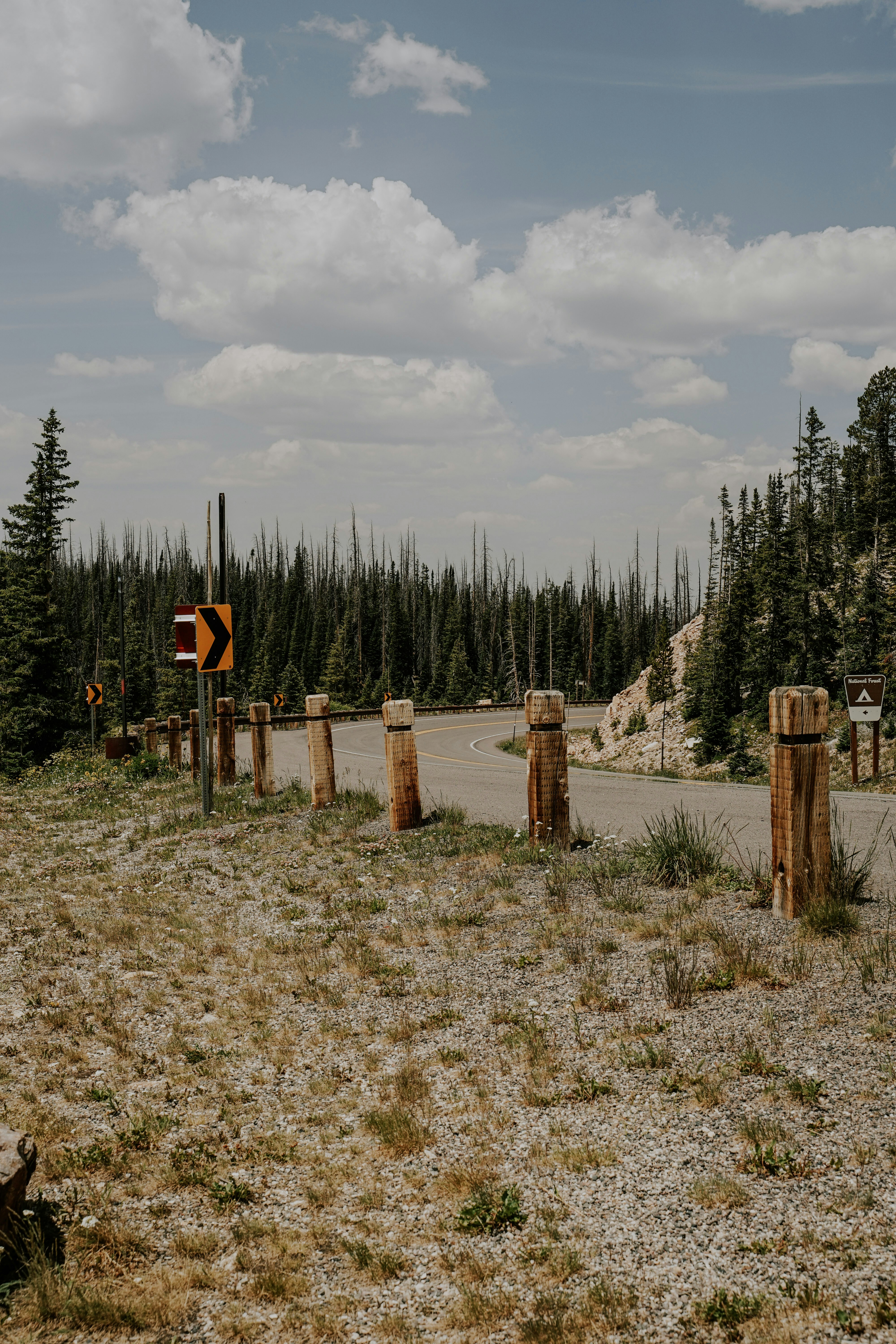 Sandy path leads to a forest with mountains