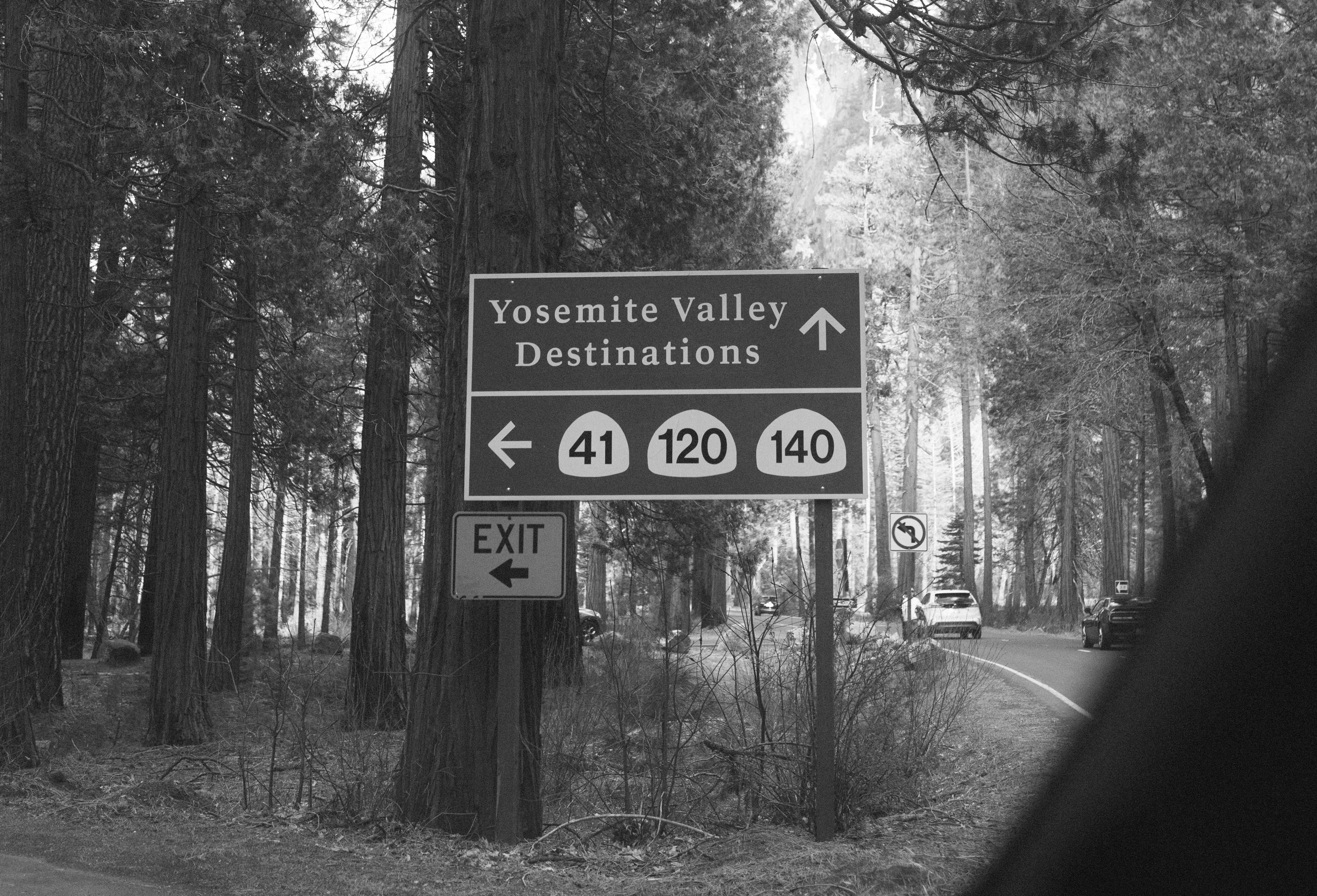 Road sign with directions in a forest