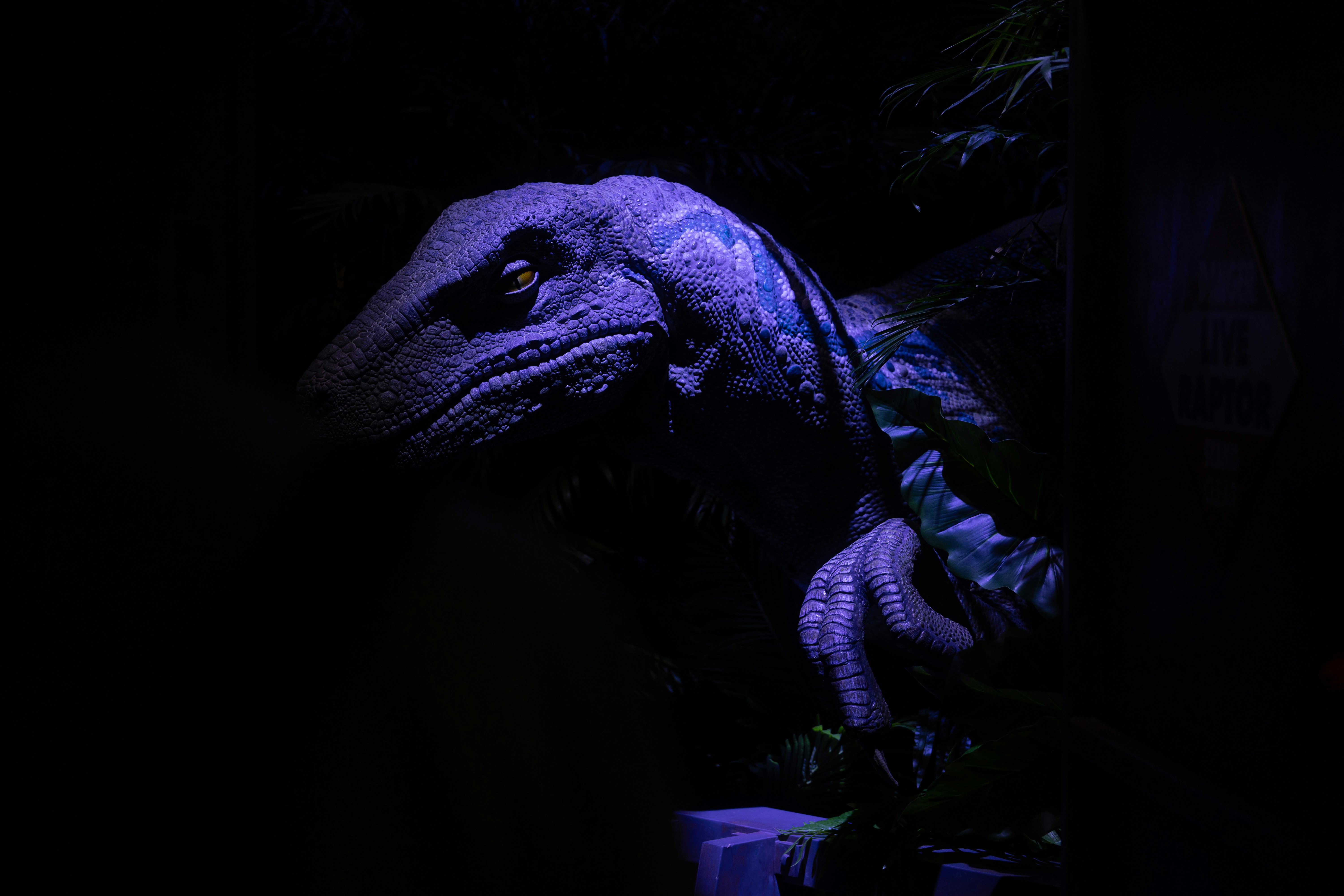 Jurassic Shadows: A Glimpse into Prehistoric Depths