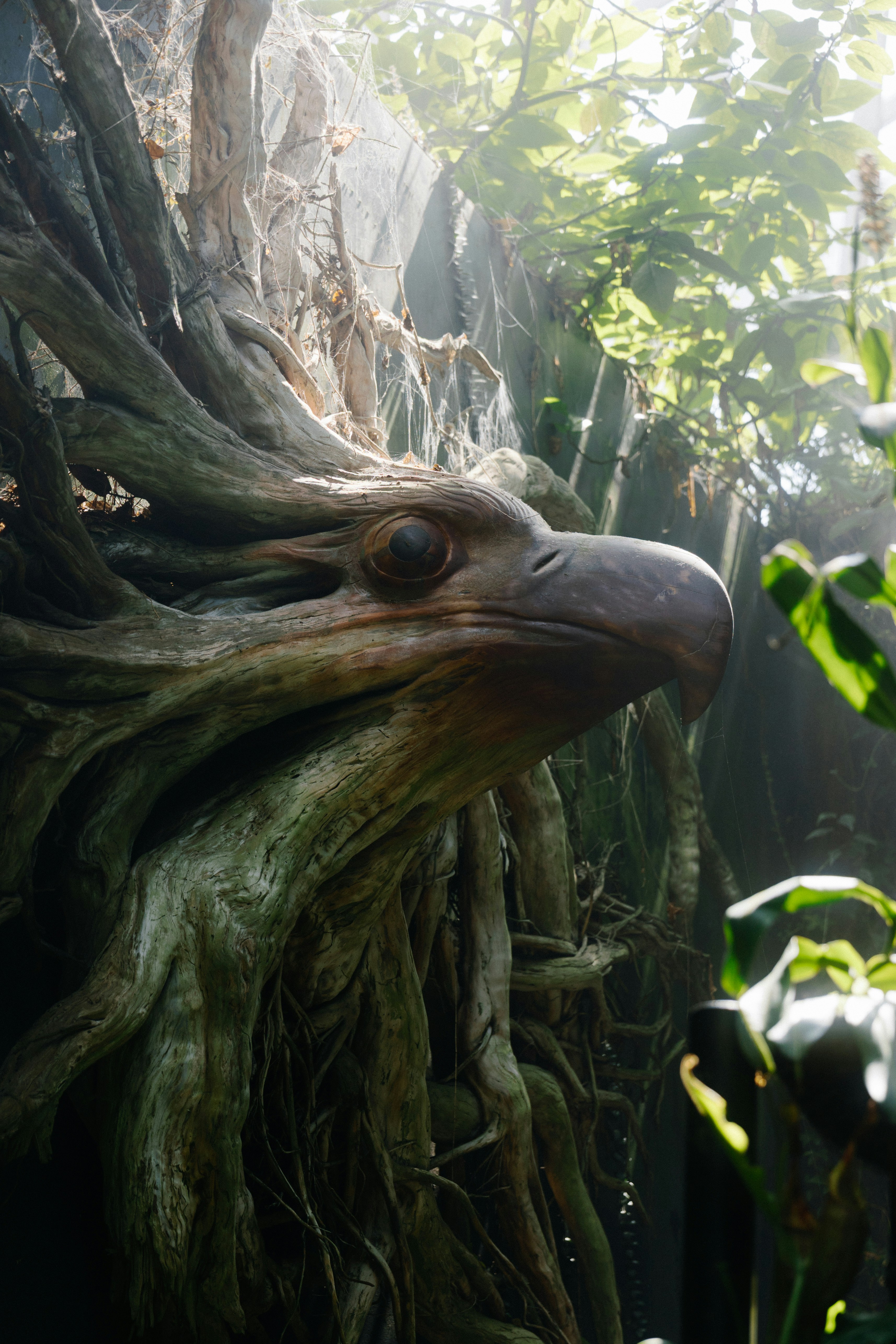 Guardian of the Forest: Nature's Sentinel