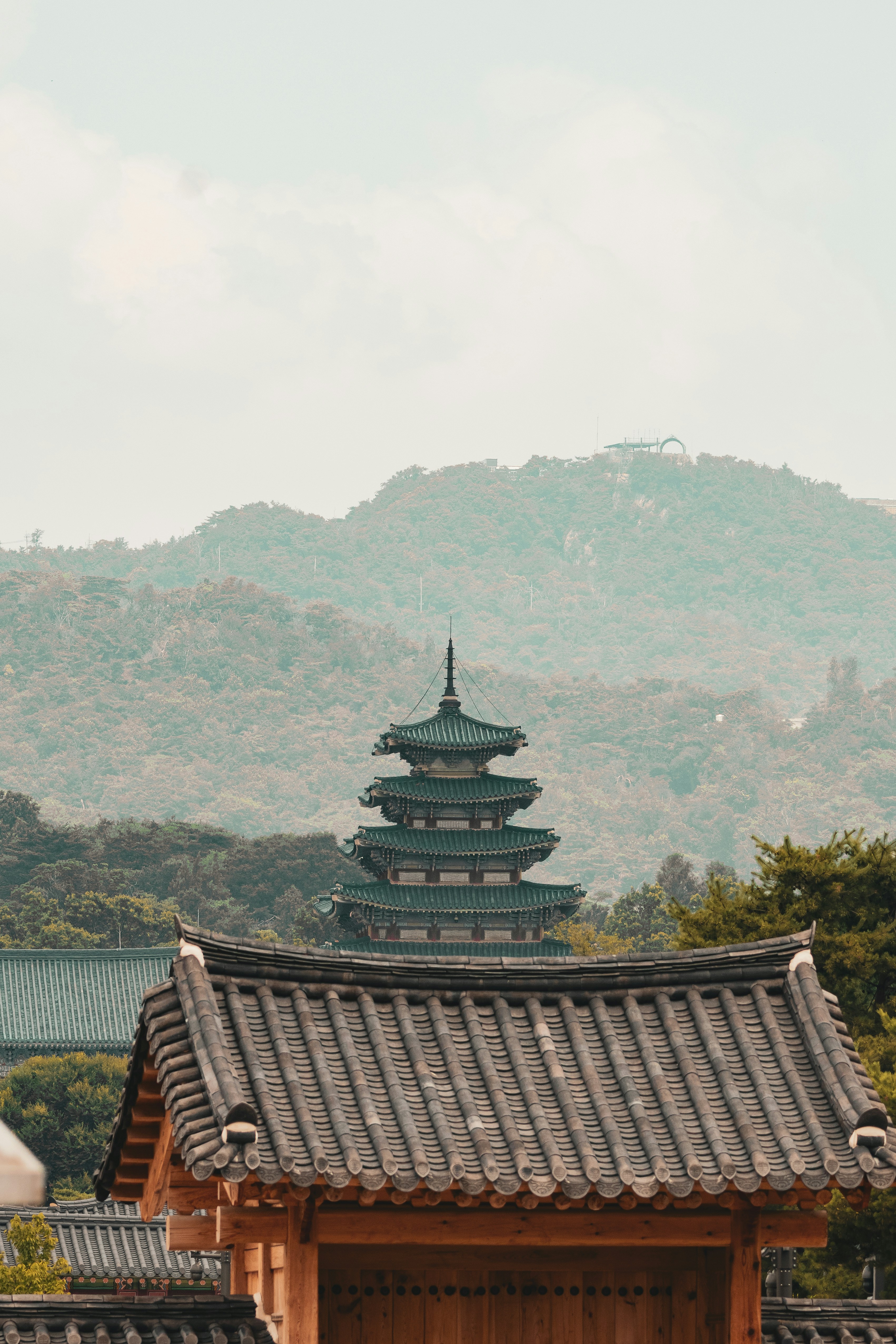 Harmony of Tradition and Nature