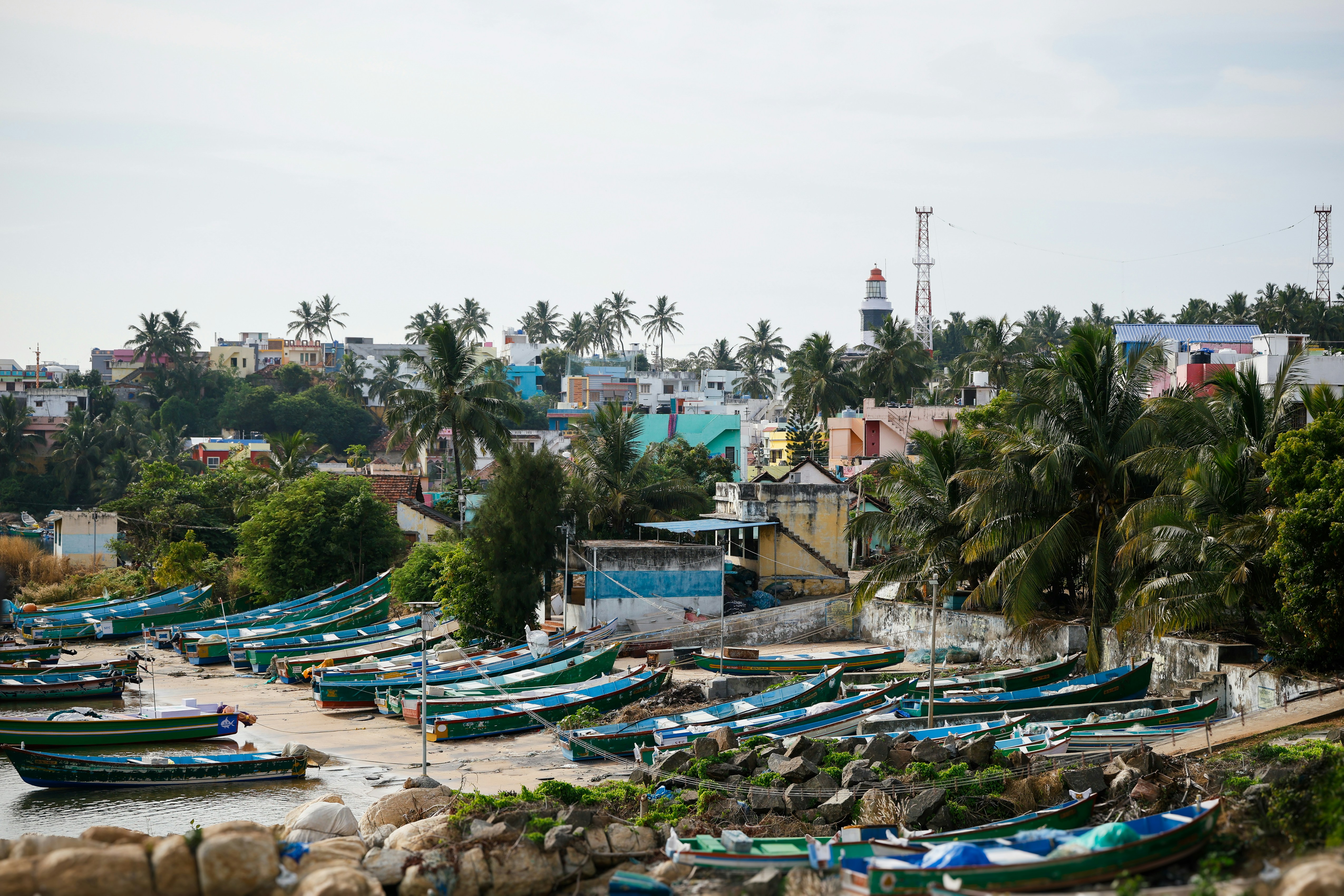 Harbor Harmony: A Coastal Canvas of Boats and Palm Trees
