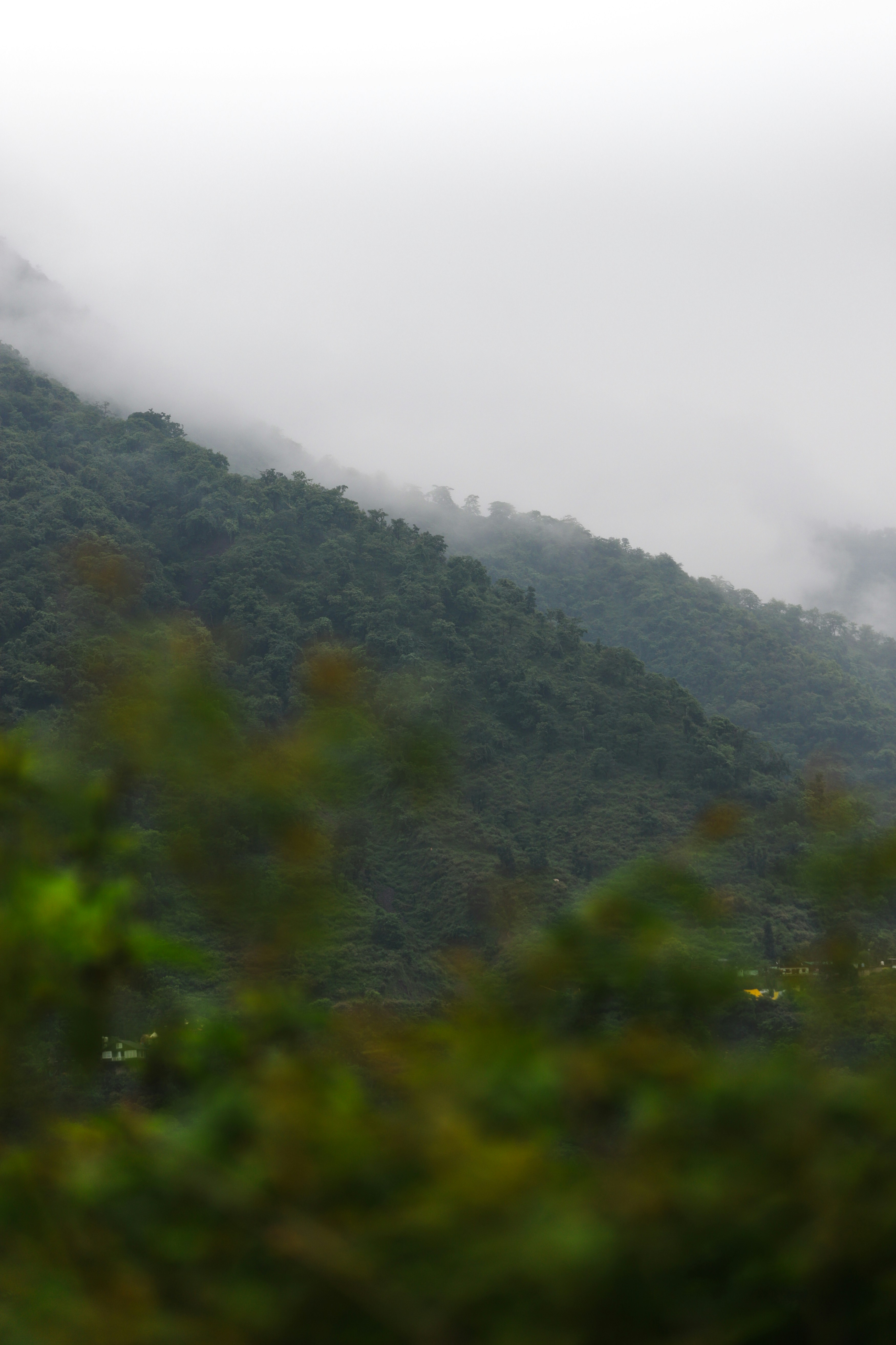 Whispers of the Misty Highlands
