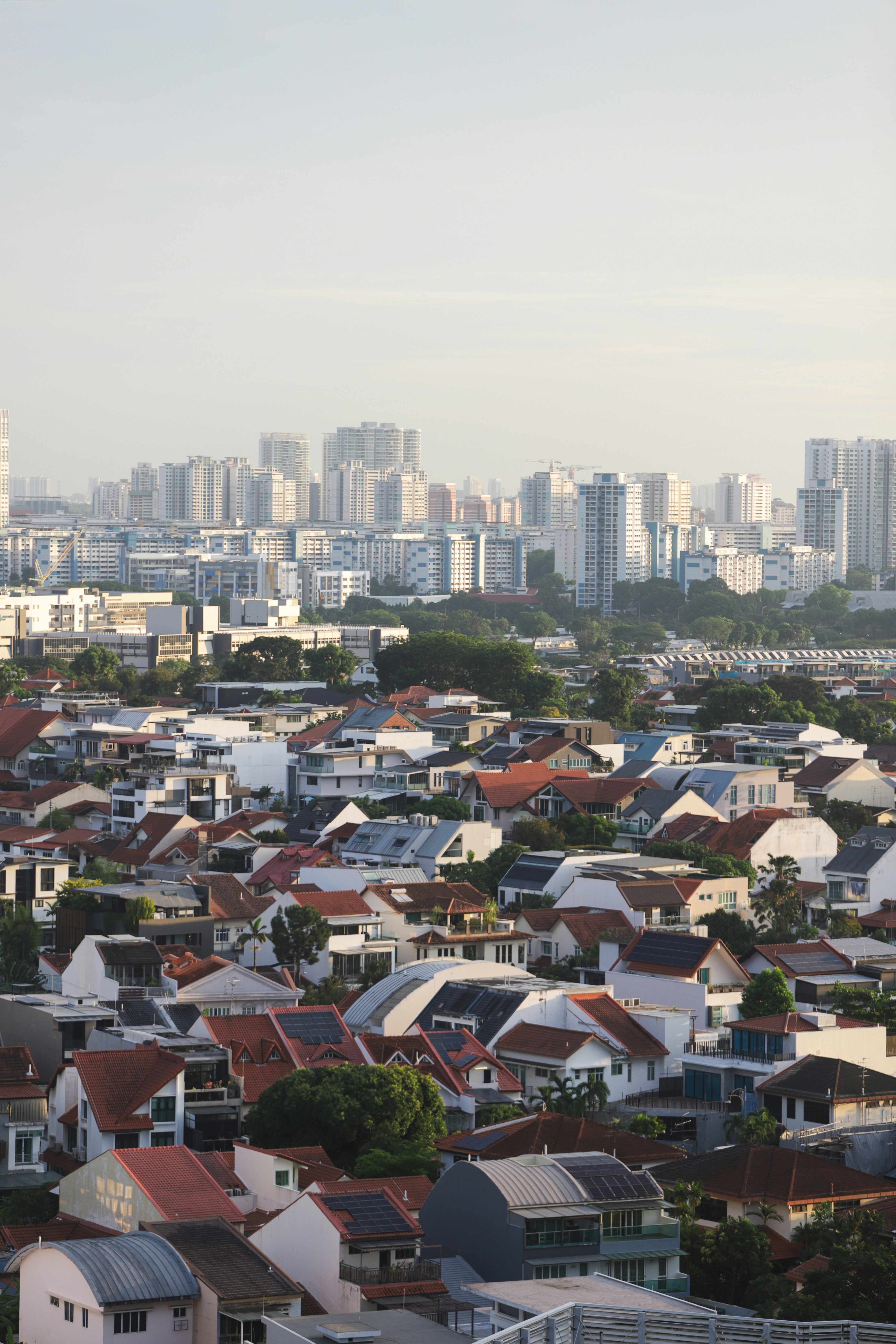 Rooftops of houses with city skyline in background