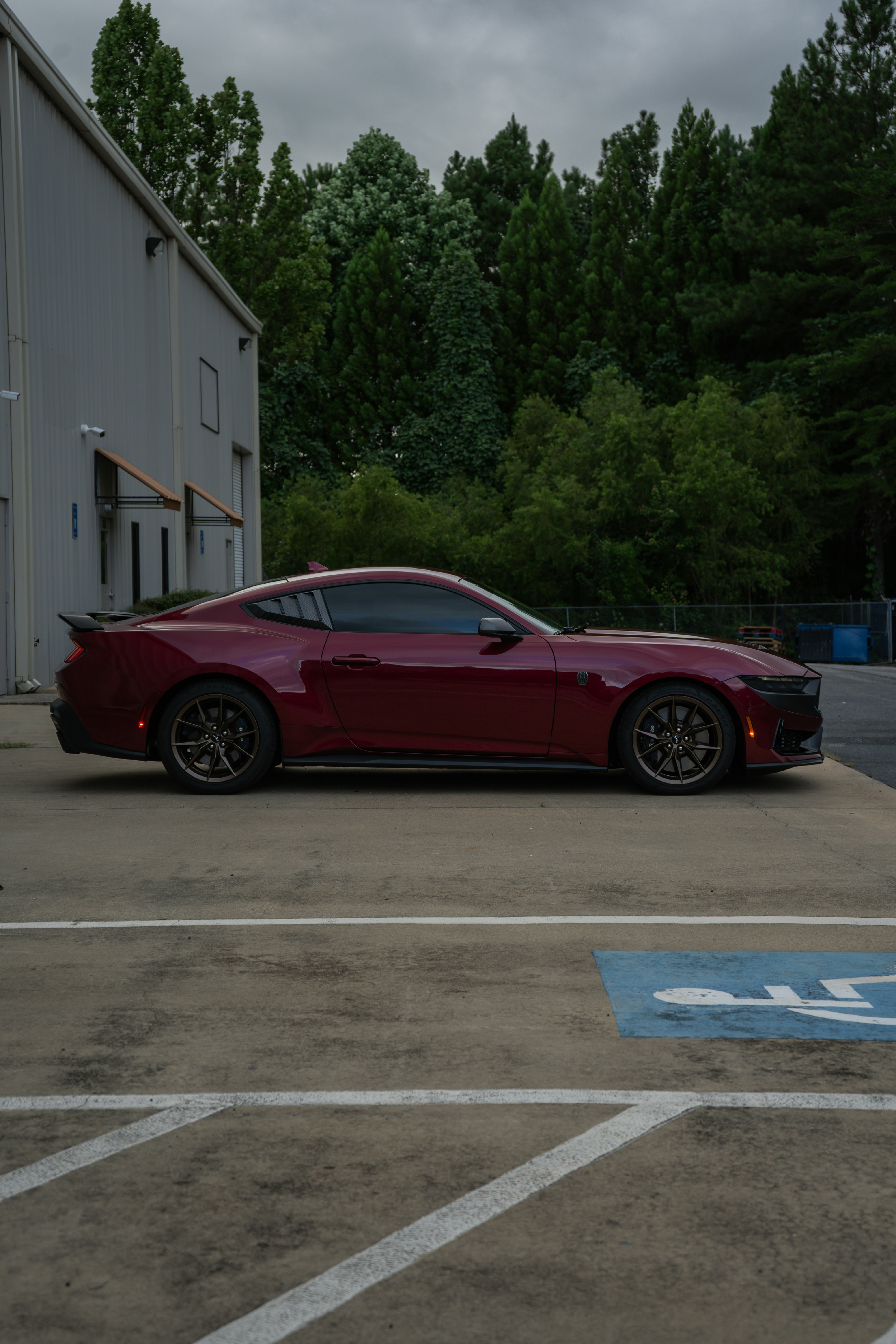 Crimson Curves: A Modern Classic in Motion