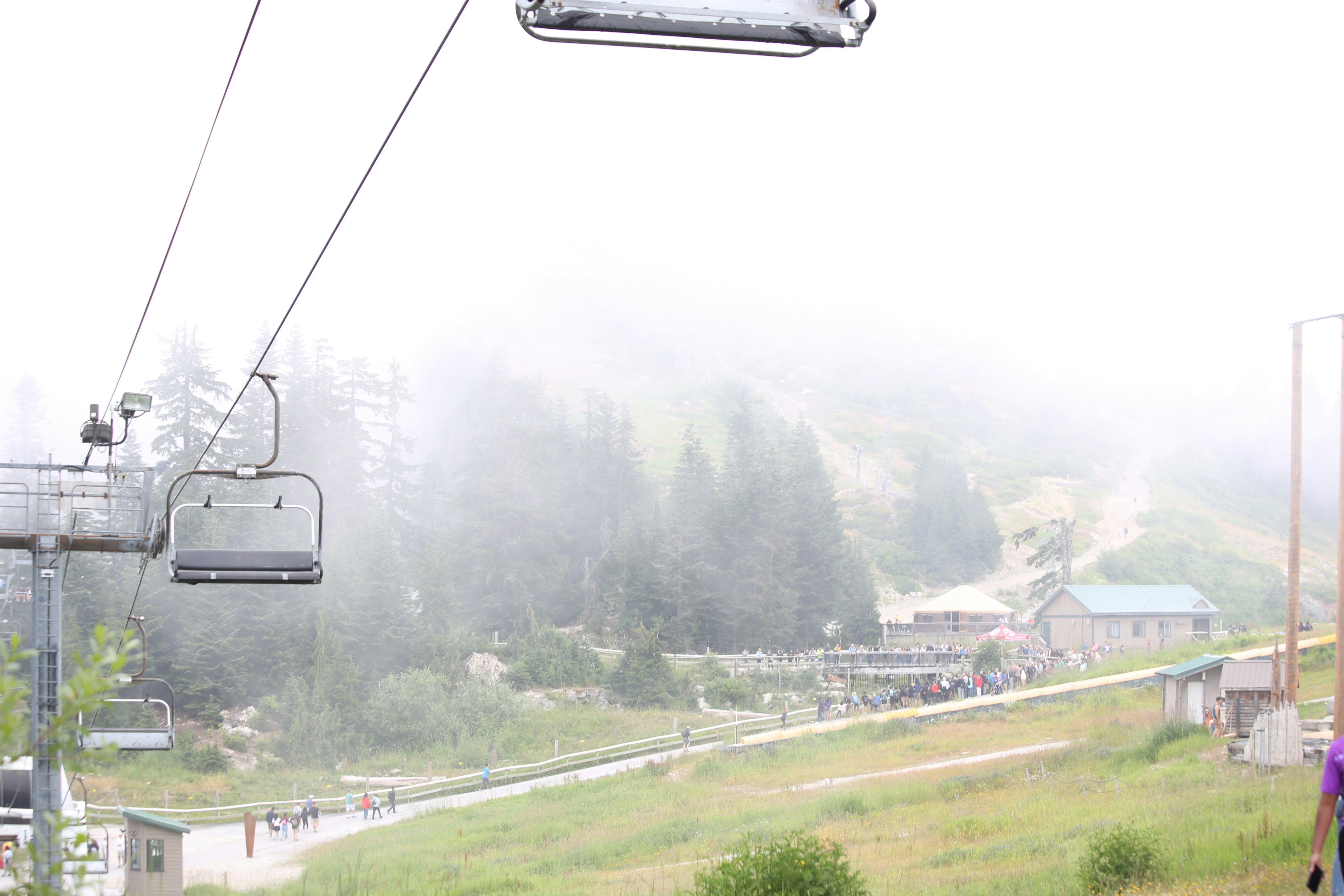 The mists on Grouse Mountain | Cable car ascending a misty mountain with trees