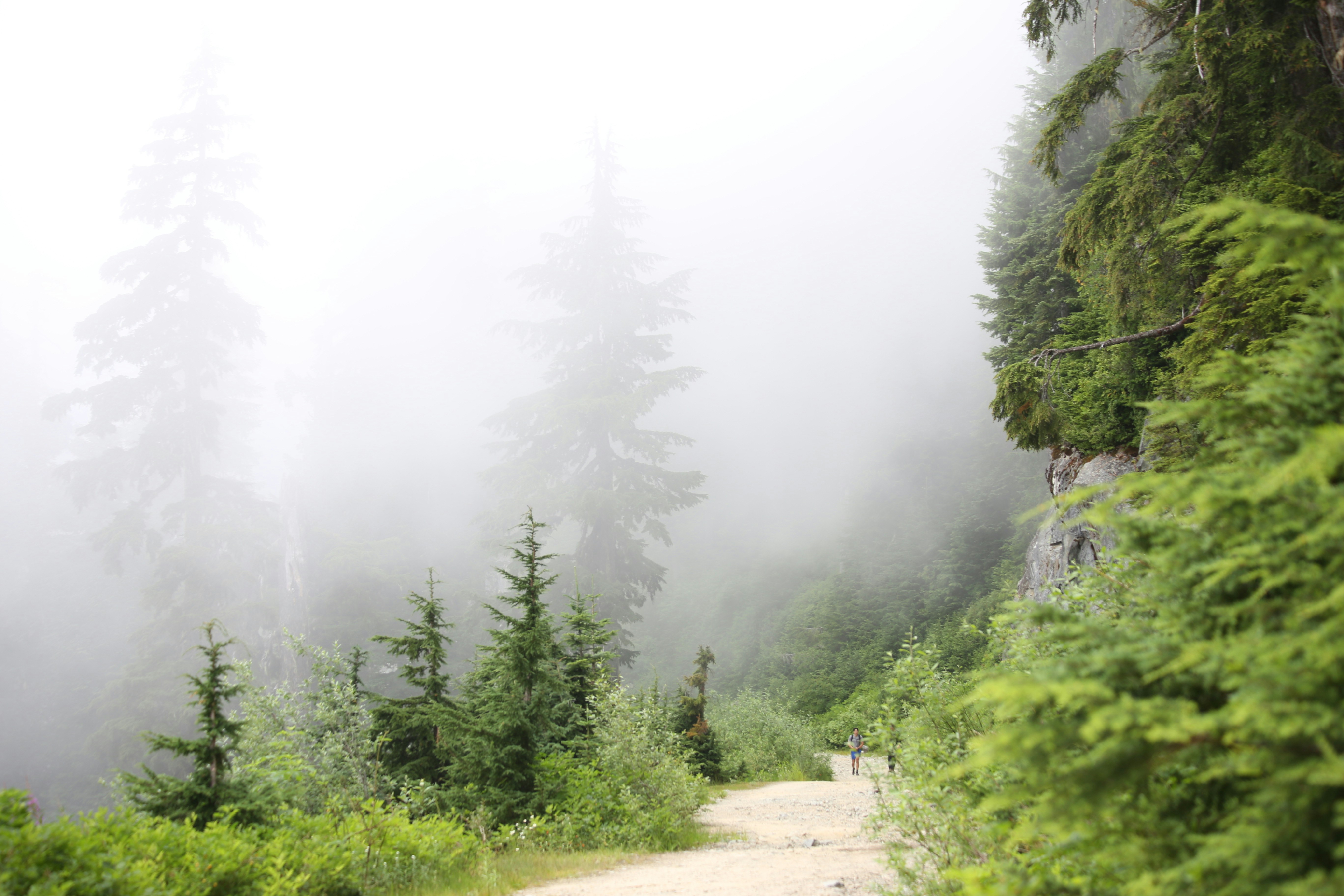The mists on Grouse Mountain | Foggy mountain road with green trees and rocks