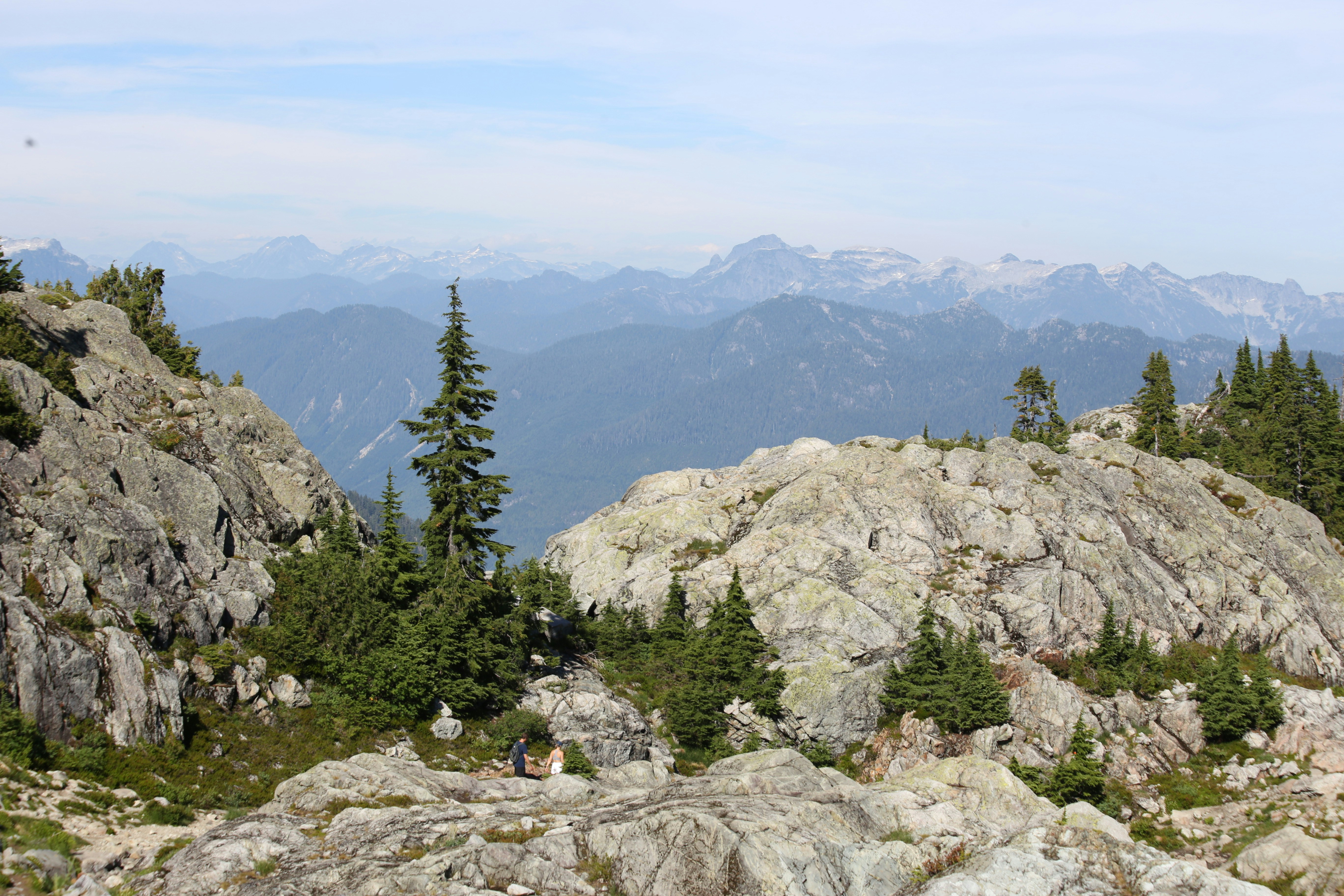 Mountains give one the perspective | Rocky mountain landscape with pine trees and distant peaks
