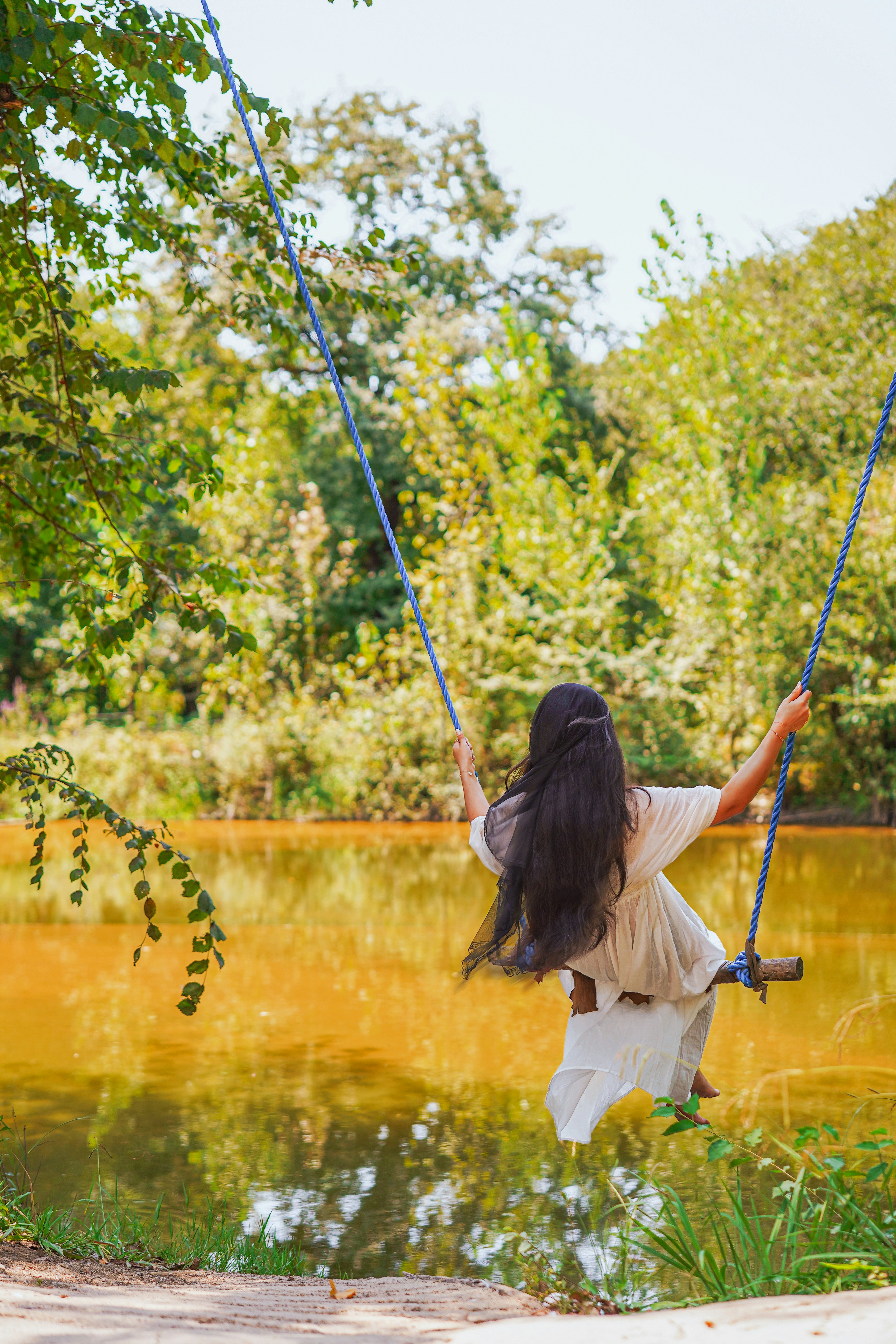 Swinging into Serenity: A Moment by the Water