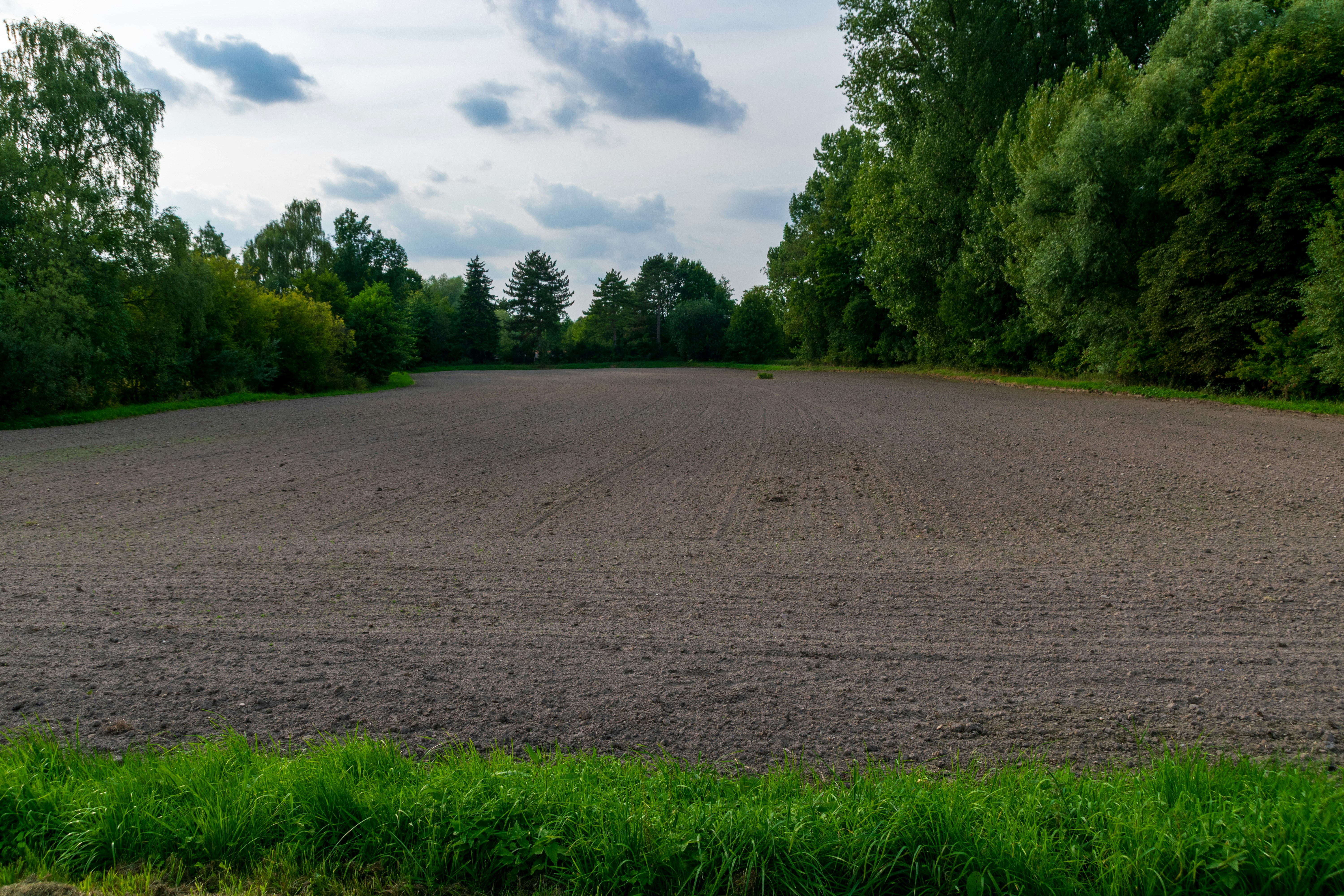 A freshly plowed field stretches under a cloudy sky, bordered by lush greenery, showcasing the harmony between agriculture and nature.