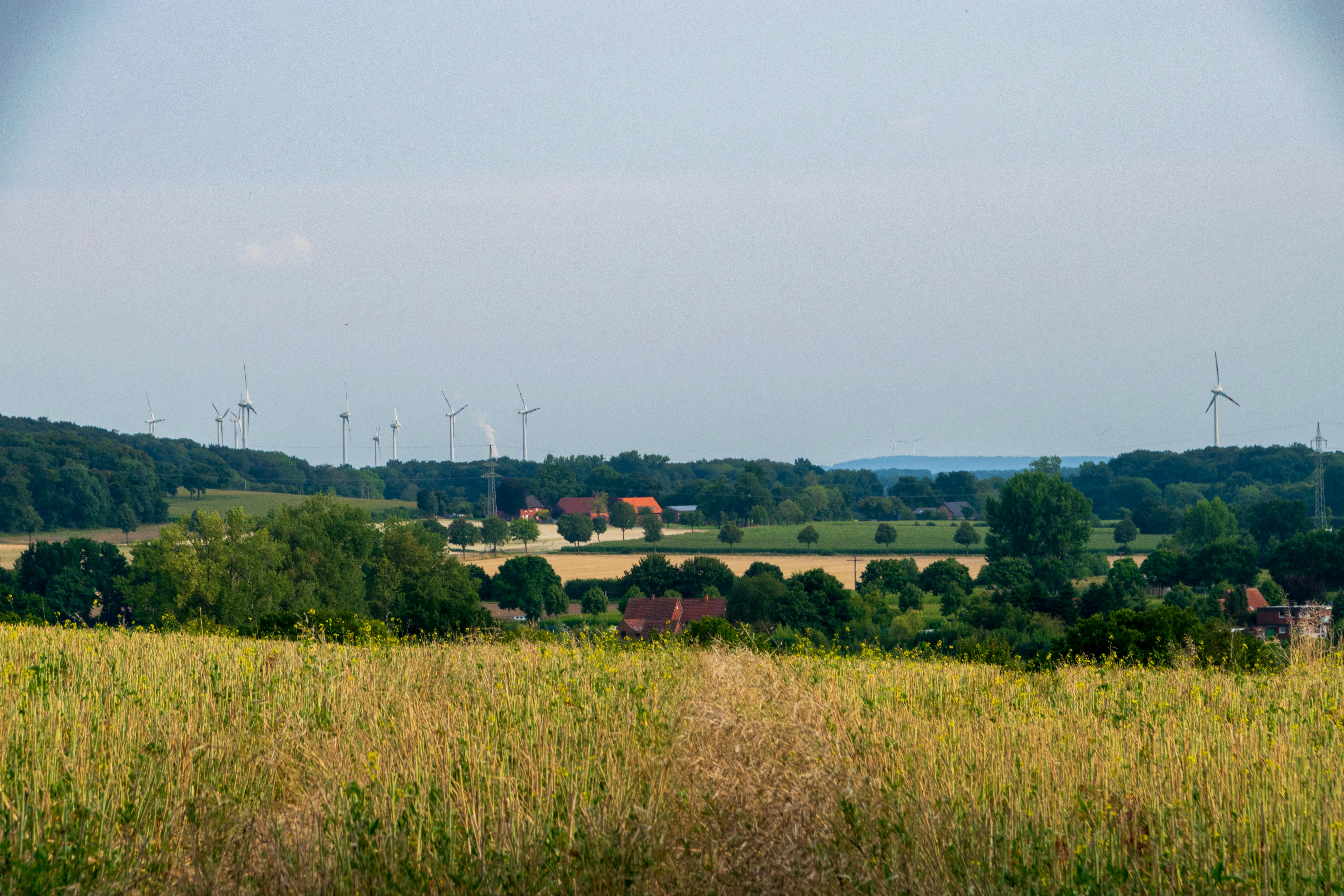 Rural landscape with fields and distant trees