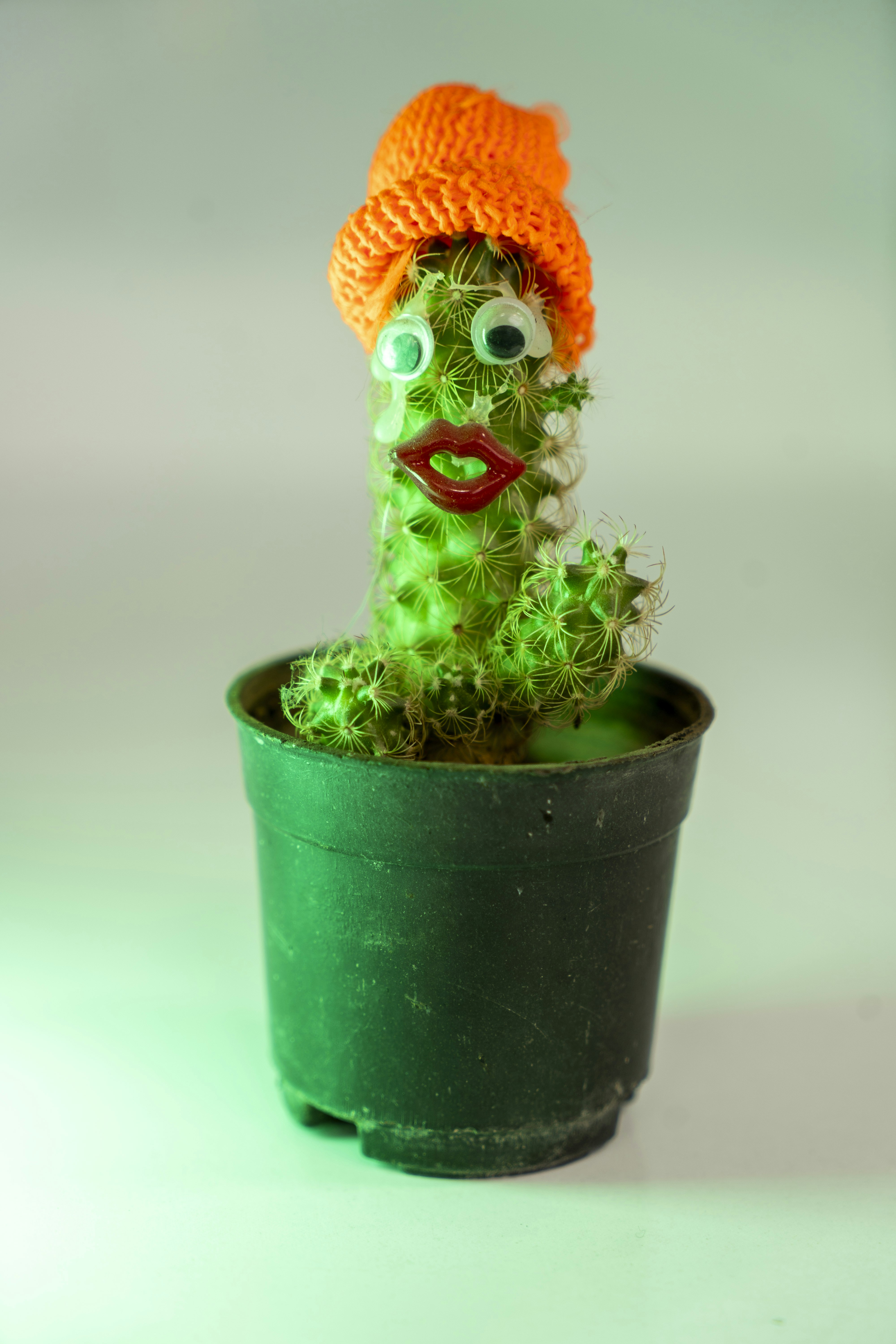 A cactus wearing an orange hat and googly eyes.