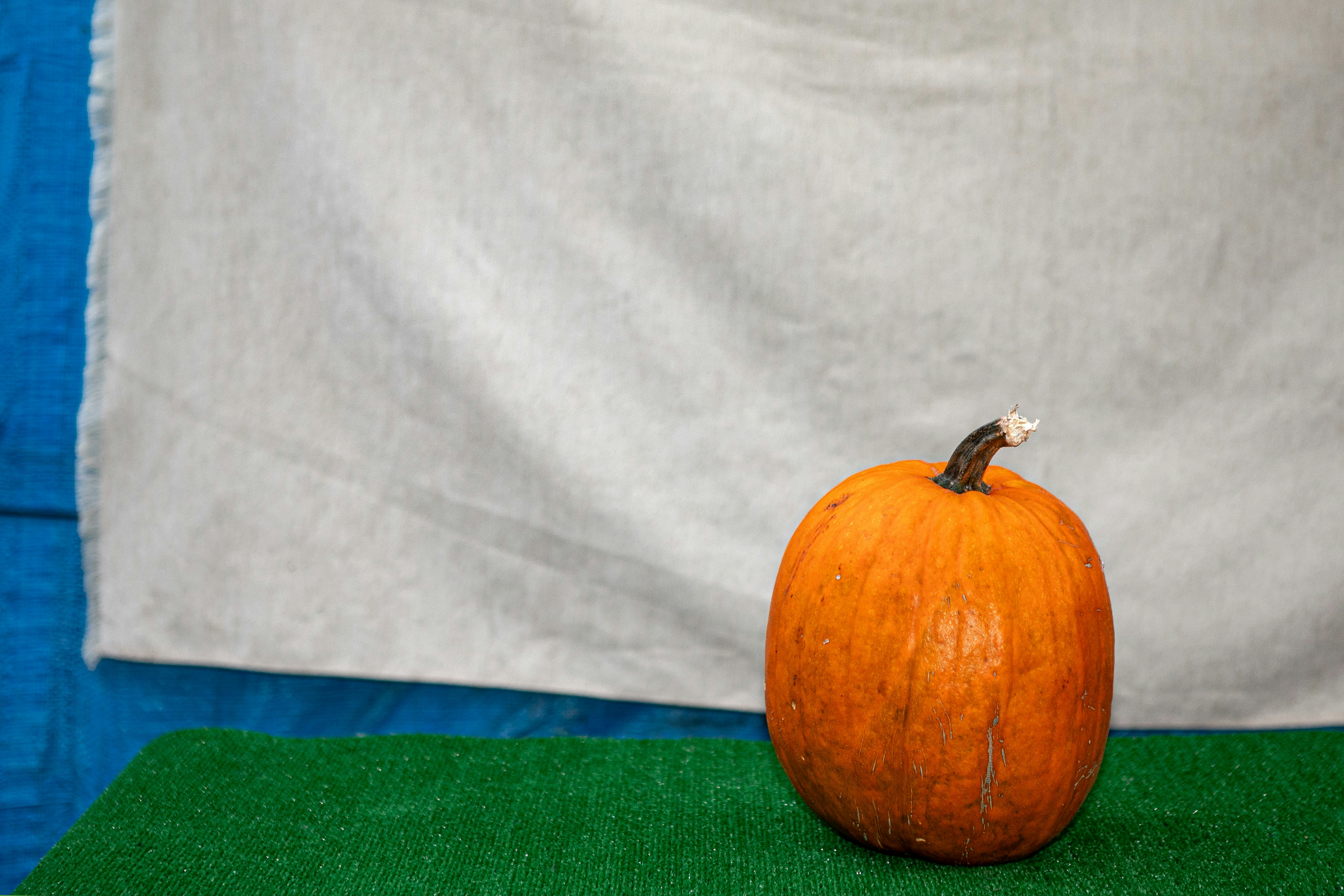 Harvested Delight: The Autumn Pumpkin