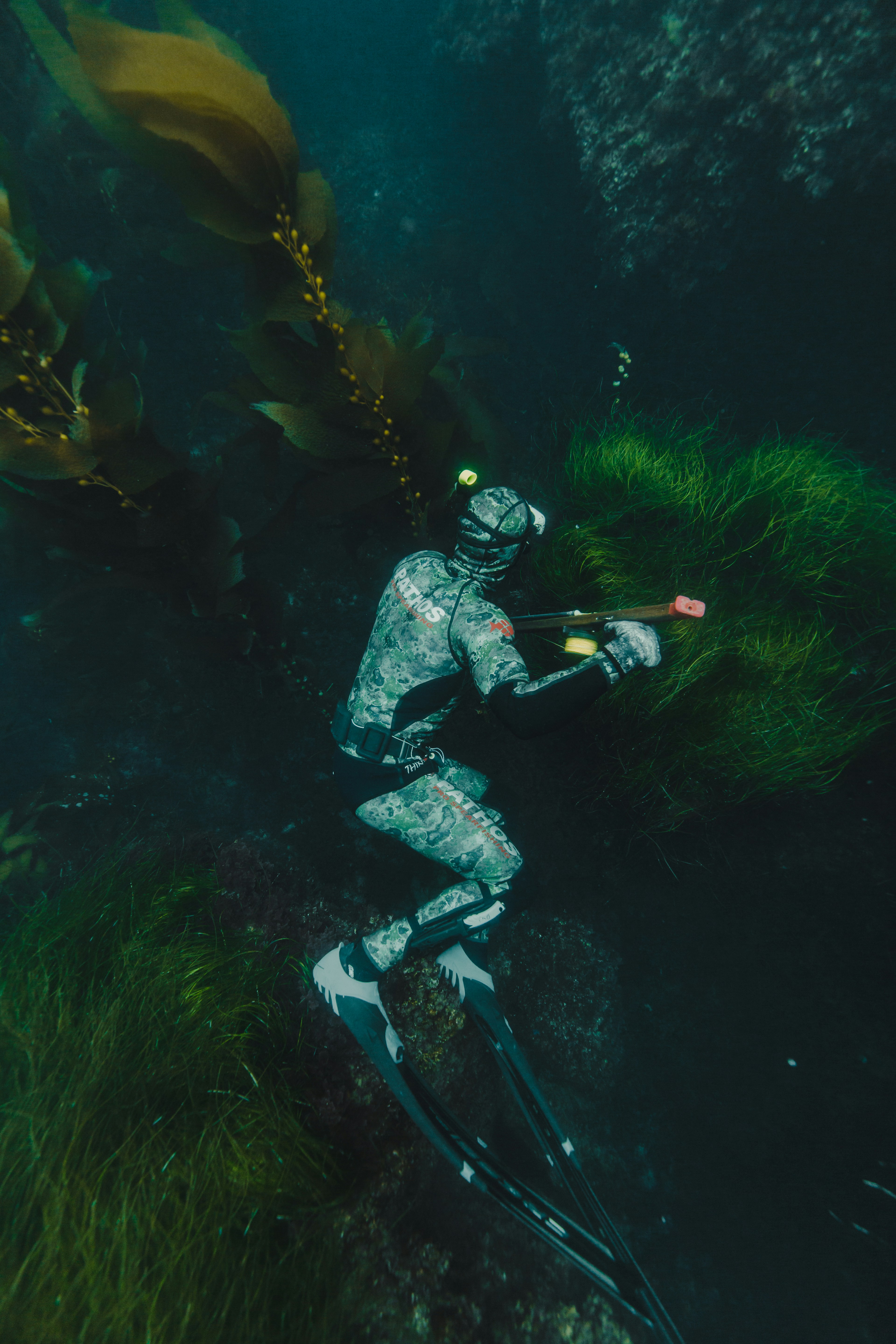 Underwater Hunter: The Art of Stealth