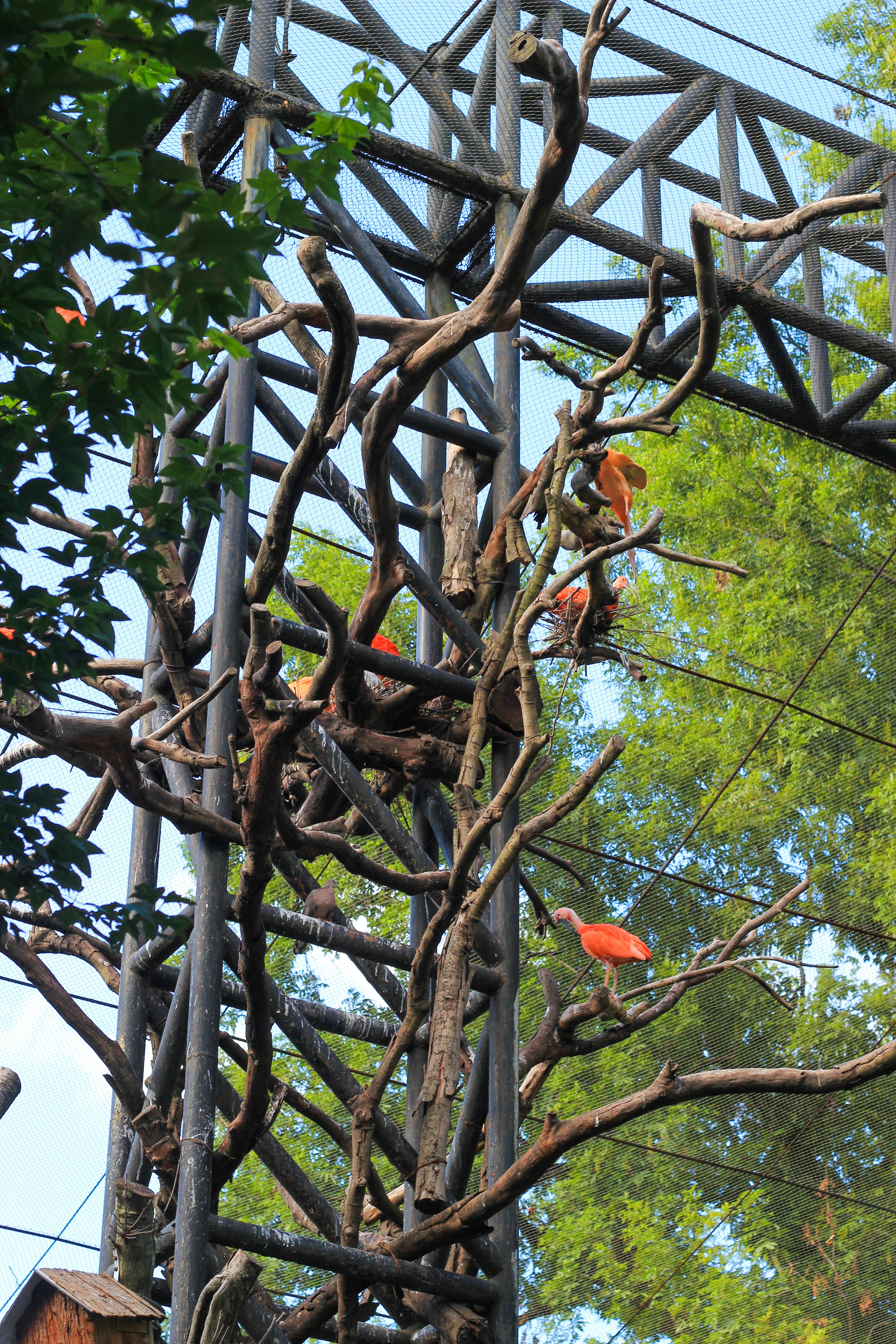 Photo by DOKYUNG KIM with Canon EOS 550D