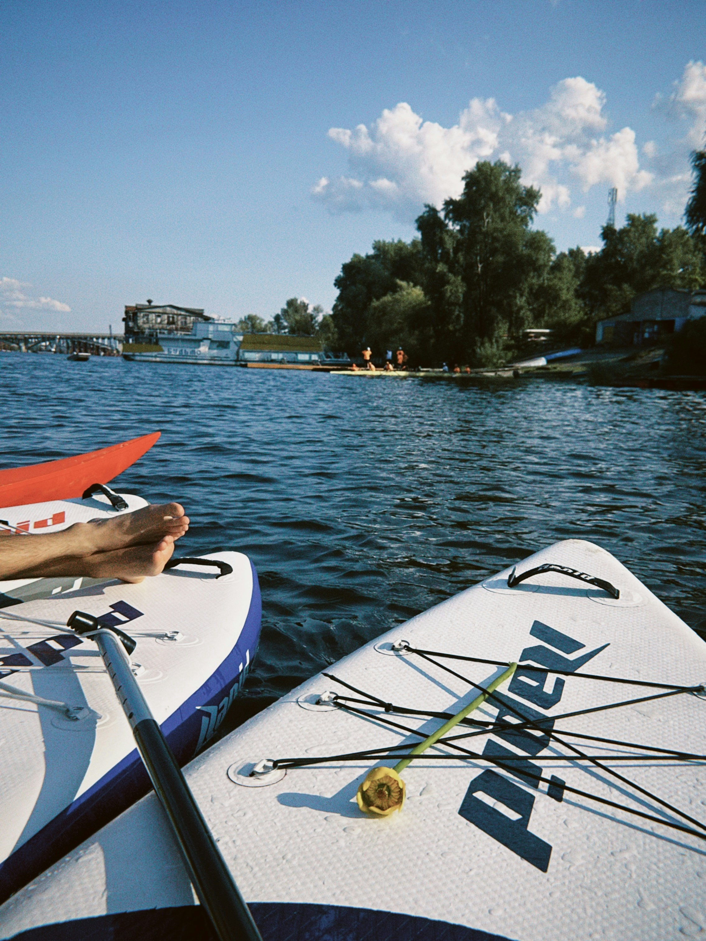 Two paddleboards on a calm lake with trees.