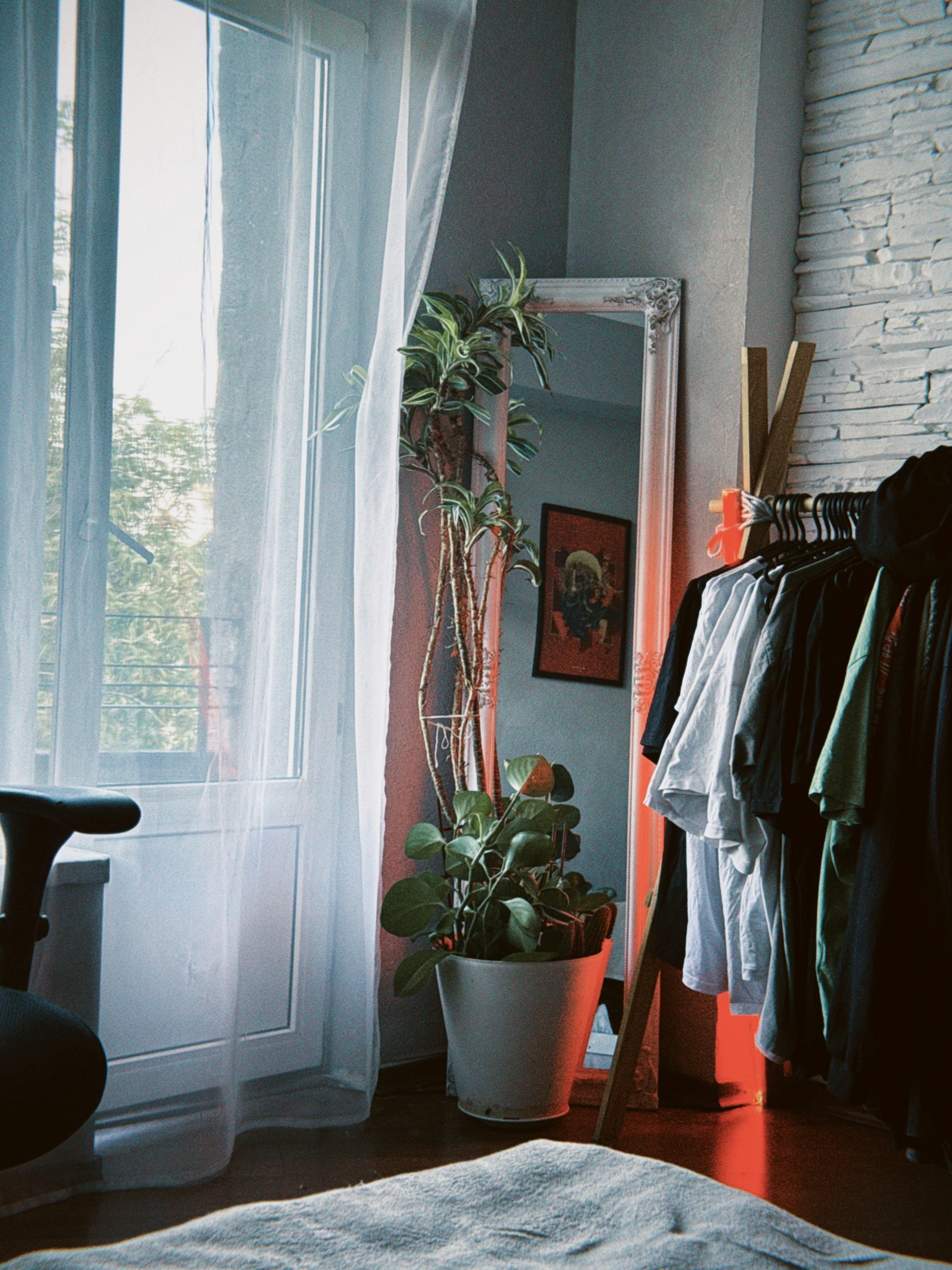 Reflections of Serenity in a Cozy Corner