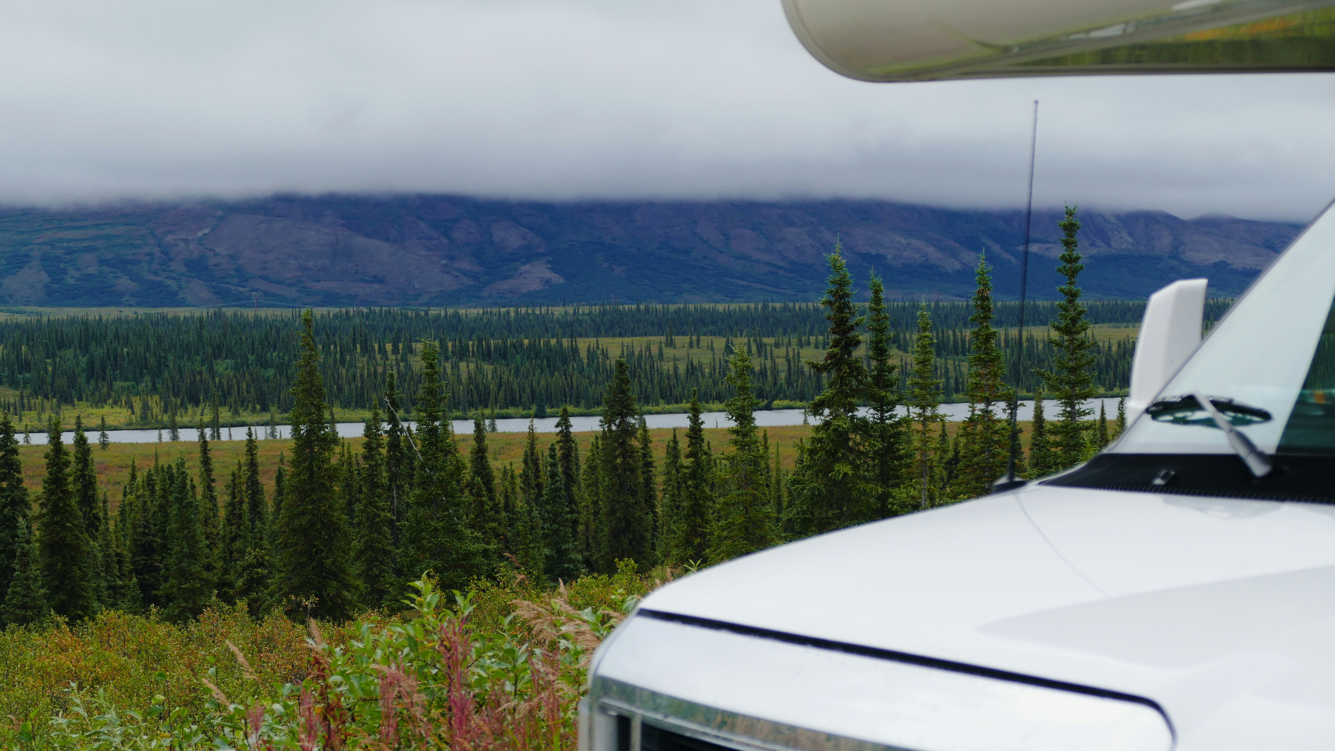 RV in the middle of nature in Denali National Park | White camper van parked with forest and hills background