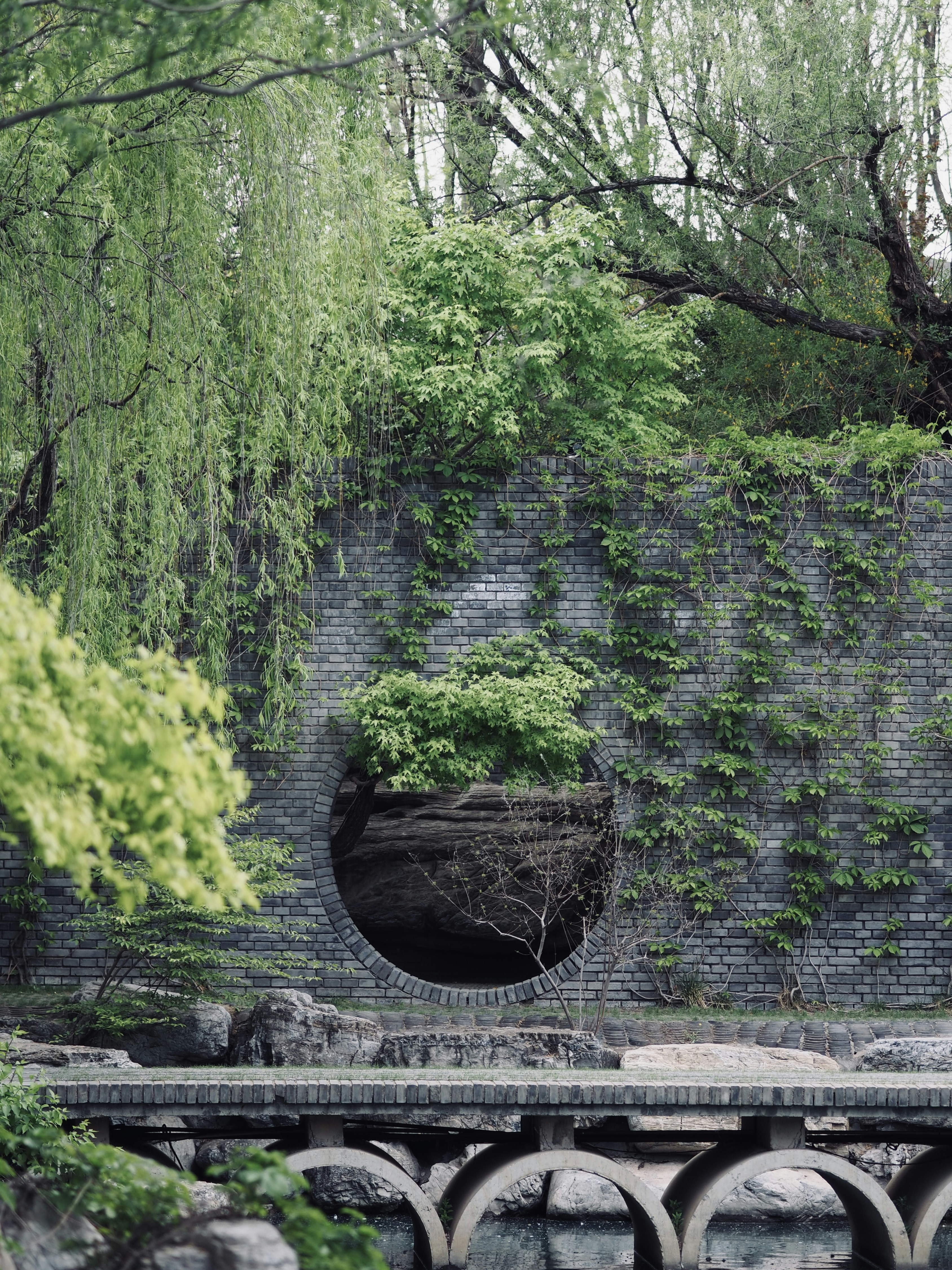 Nature's Gateway: A Circular Embrace