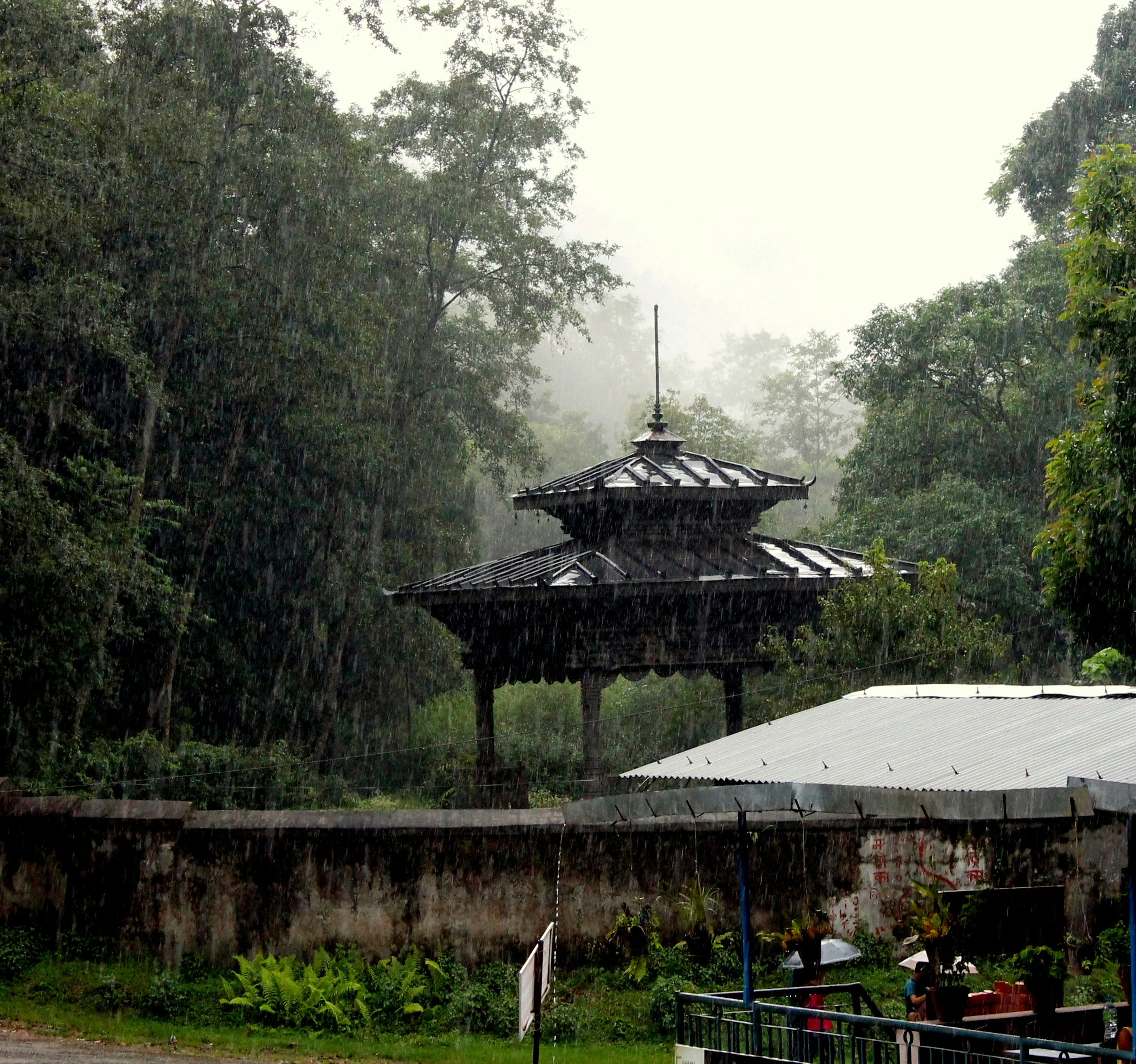 Whispers of Rain: A Serene Retreat Amidst the Storm