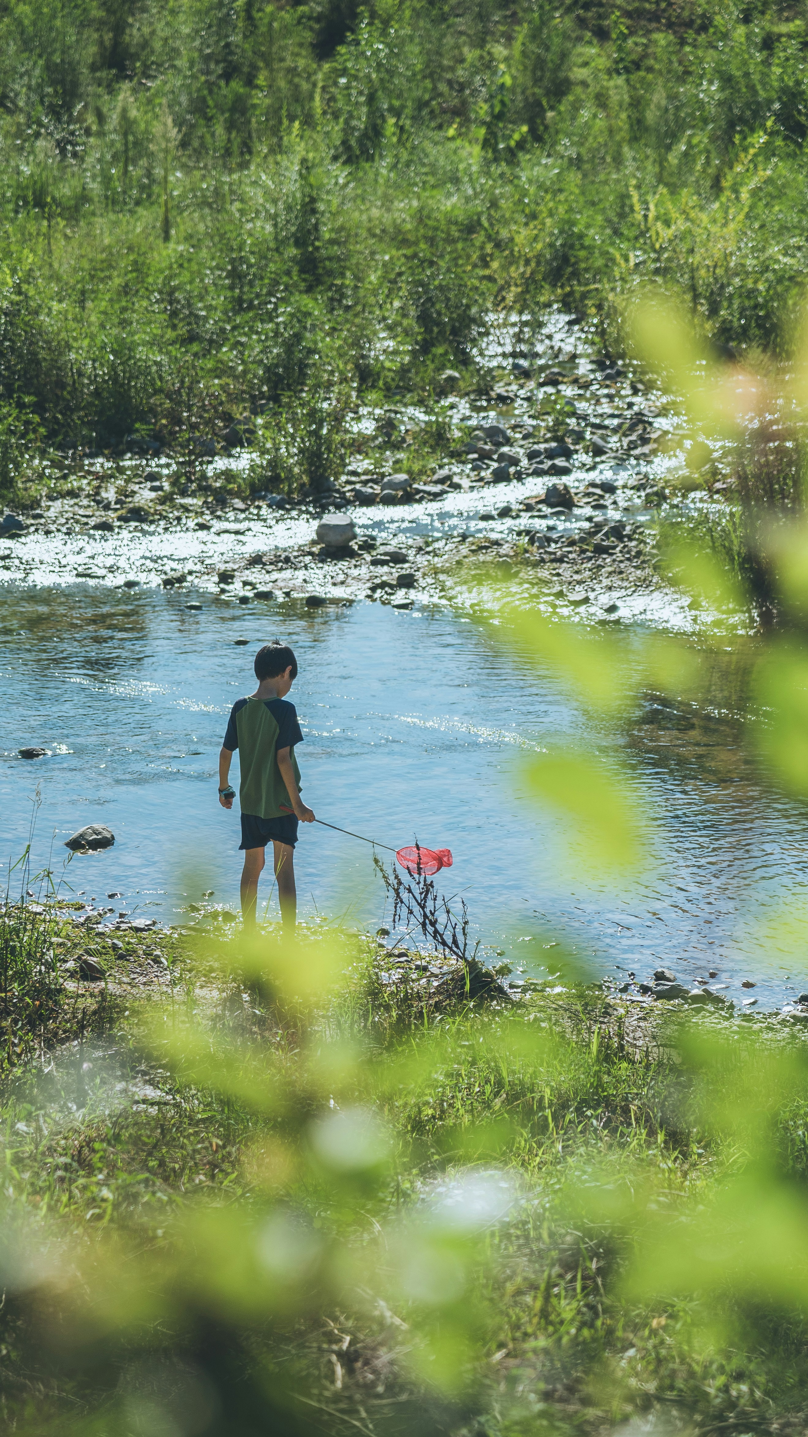 A Young Explorer's Streamside Adventure