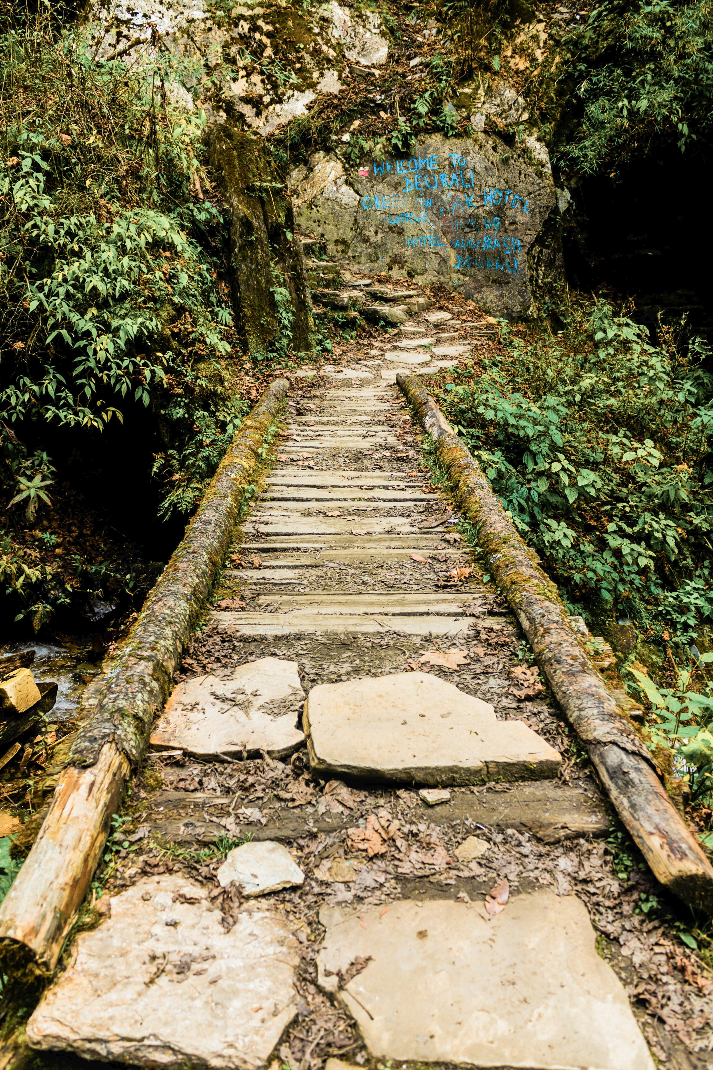 Poon Hill Trekking: A Scenic Himalayan Adventure to Remember | Wooden bridge on a forest path