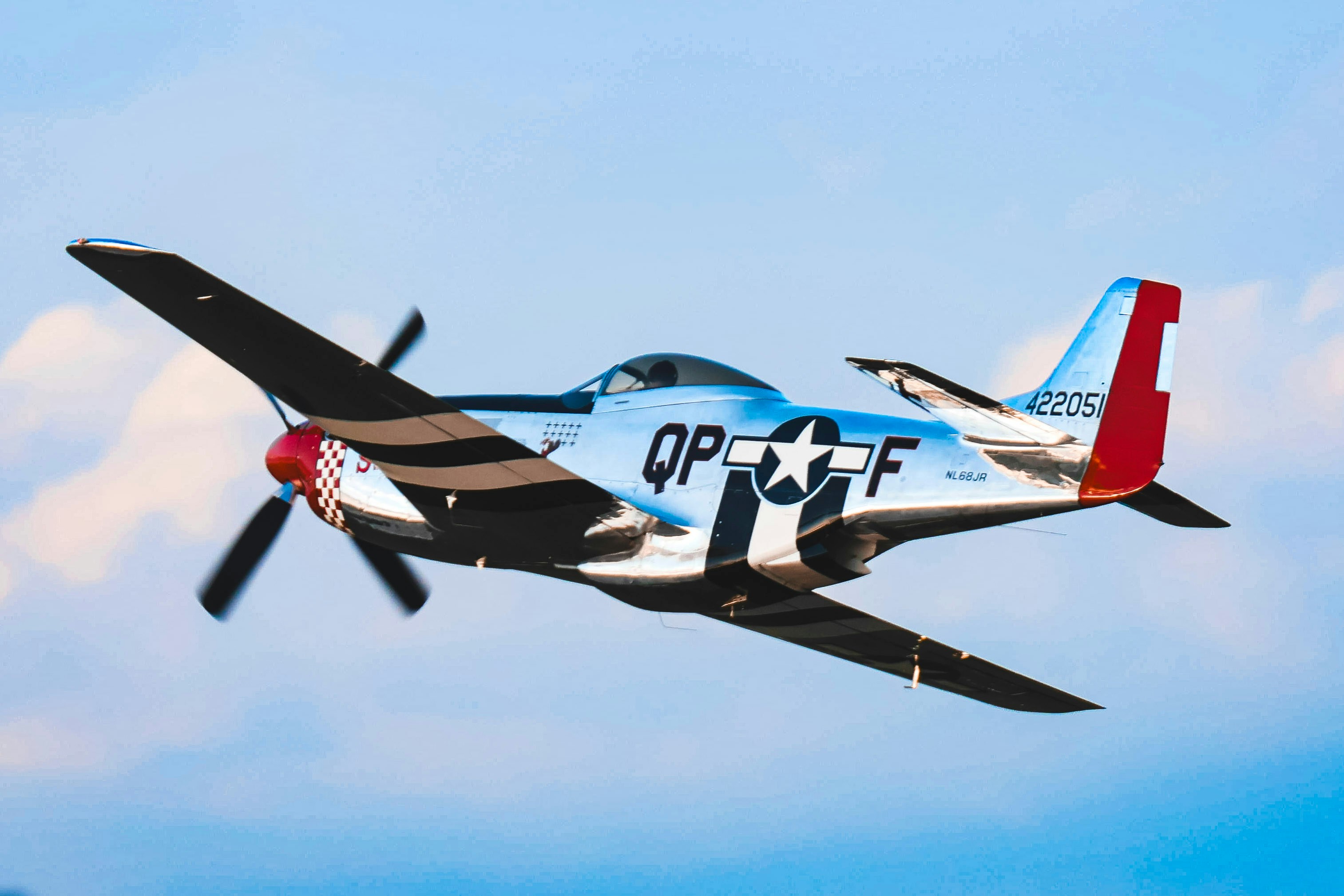 Aerial Elegance: The Legacy of Flight