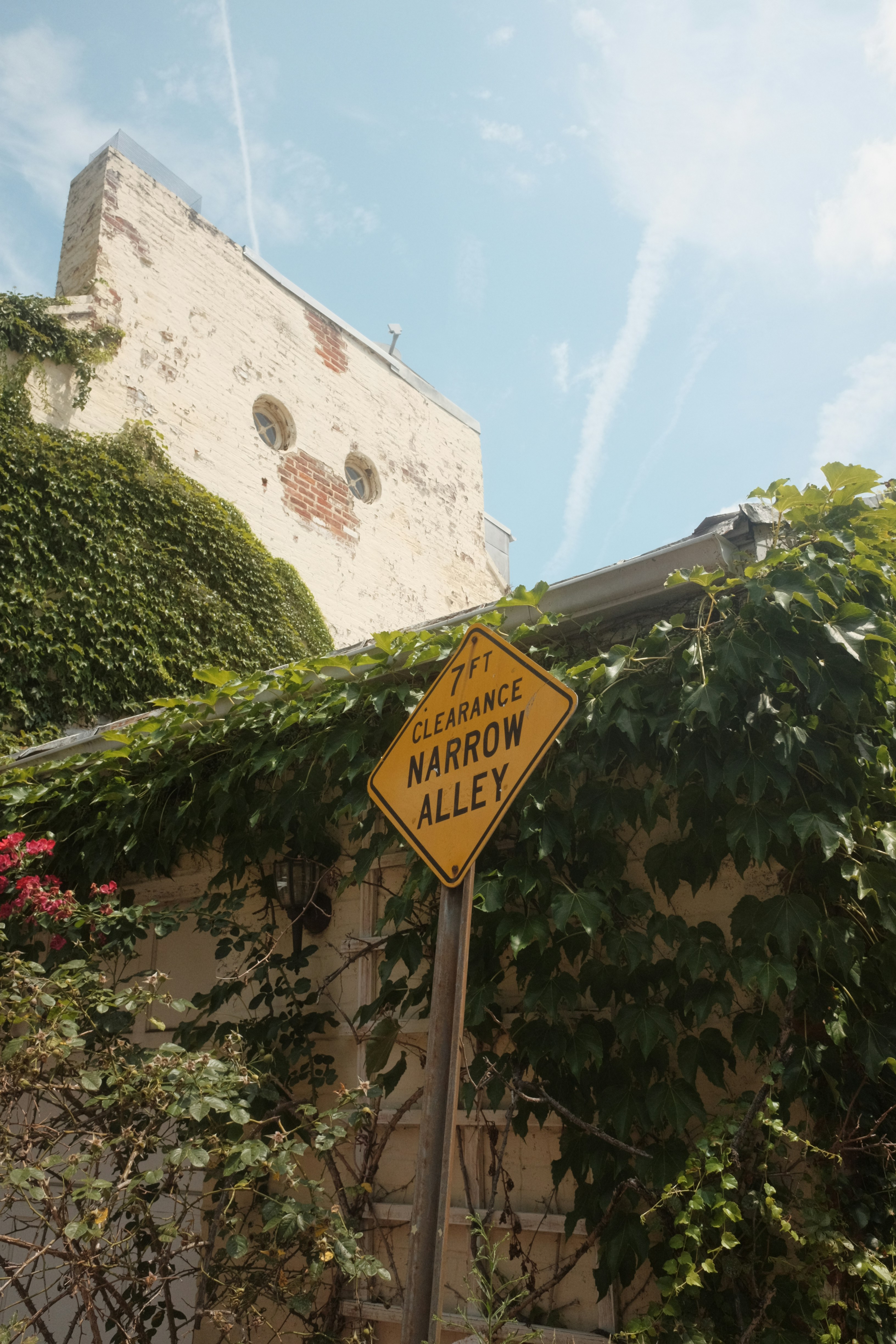 Whispers of the Alley: A Narrow Path Awaits