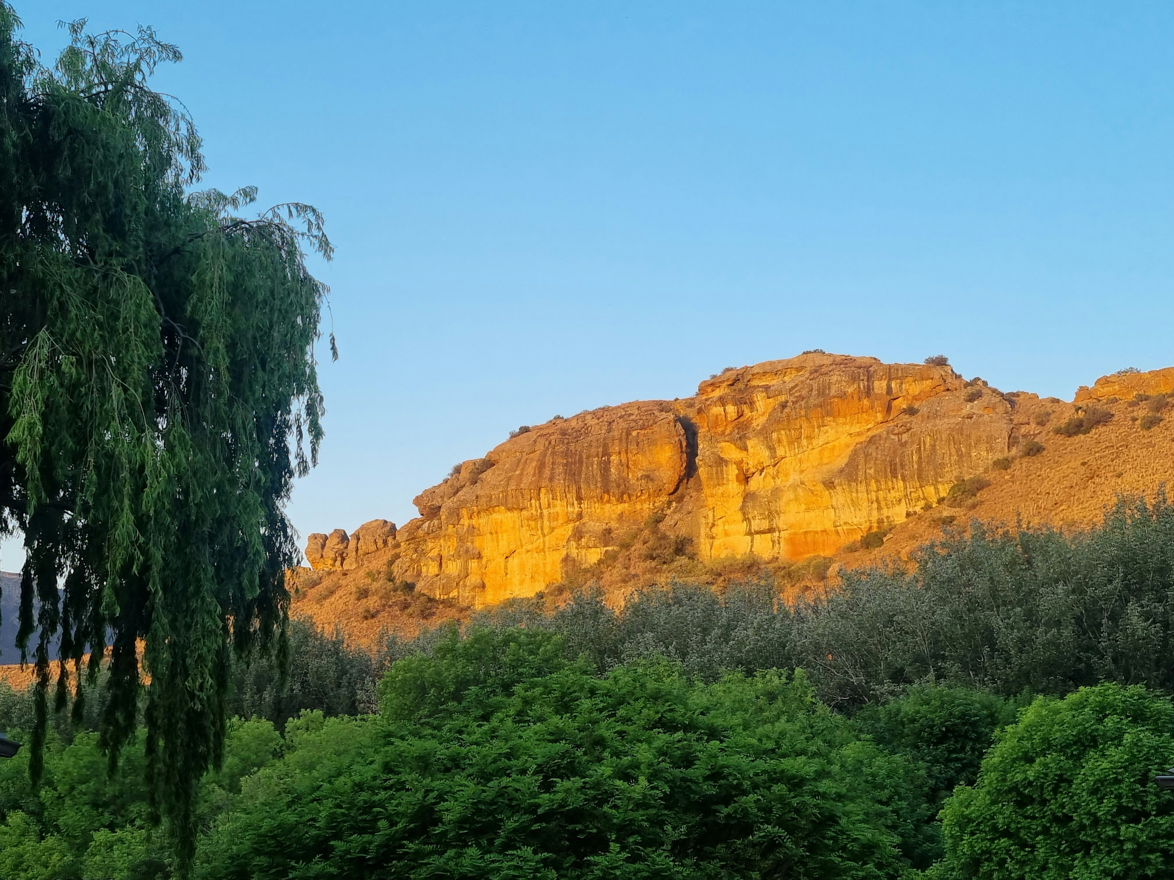 Red rock, Blue Sky, the feeling of expansiveness | Golden mountain illuminated by sunset with trees